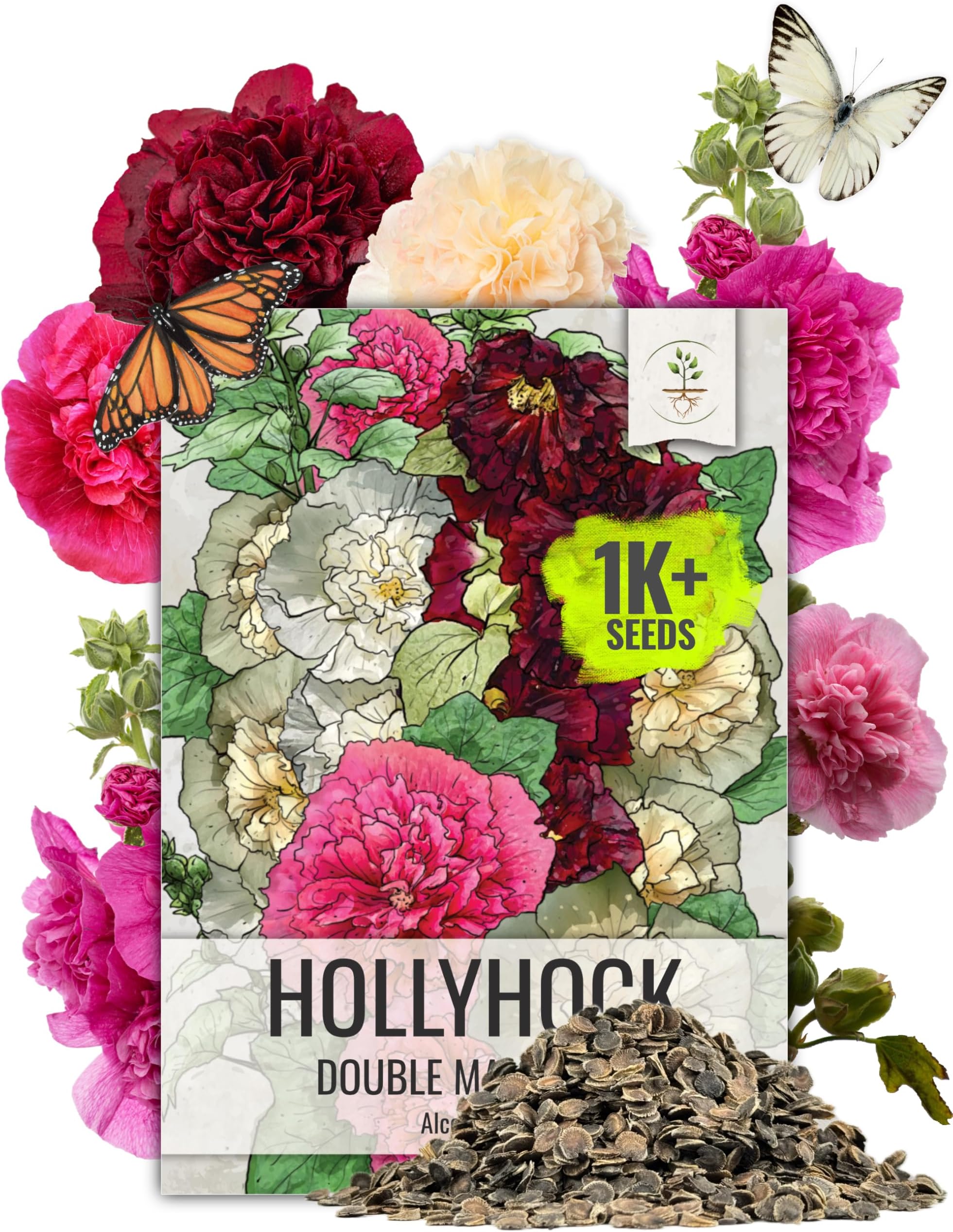 Hollyhock Seeds For Sale