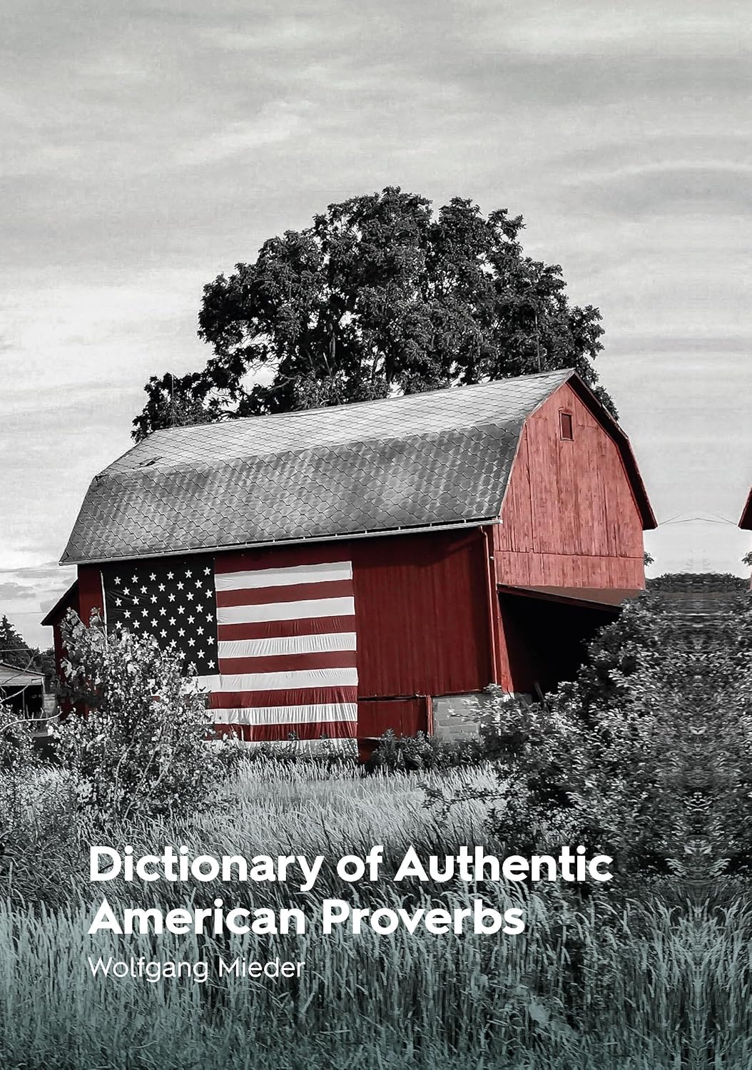 Dictionary of Authentic American Proverbs: Mieder, Wolfgang ...