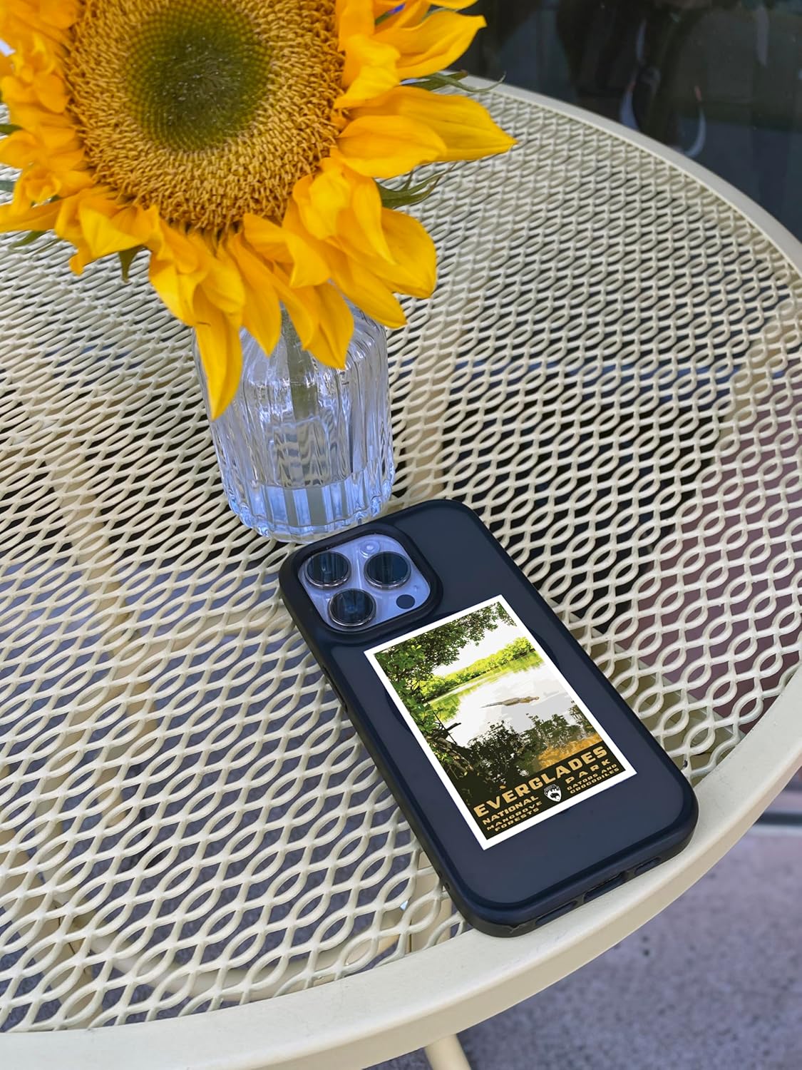 Amazon.com: GO SEE DESIGN National Park Stickers - INDIVIDUAL STICKERS ...
