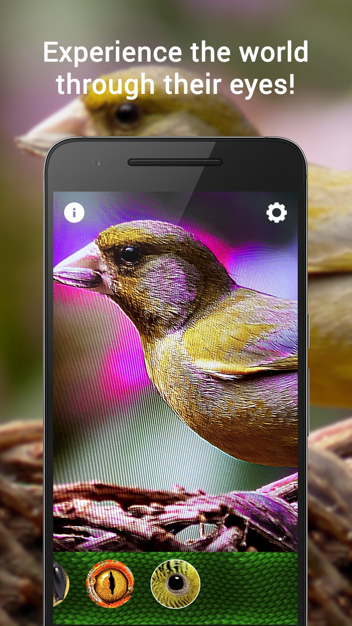 Animal Vision - App on Amazon Appstore