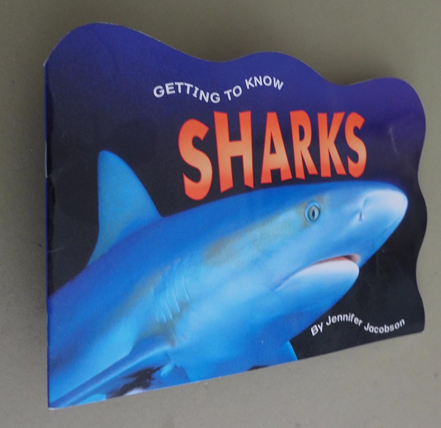 Getting to know sharks (Sadlier little books phonics): Jacobson ...