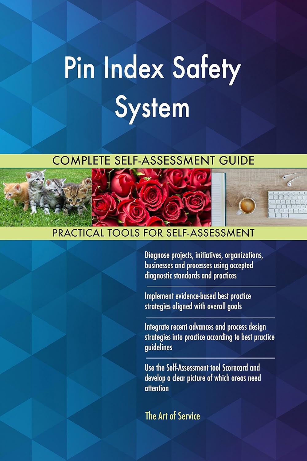 Pin Index Safety System All-Inclusive Self-Assessment - More than 700 ...