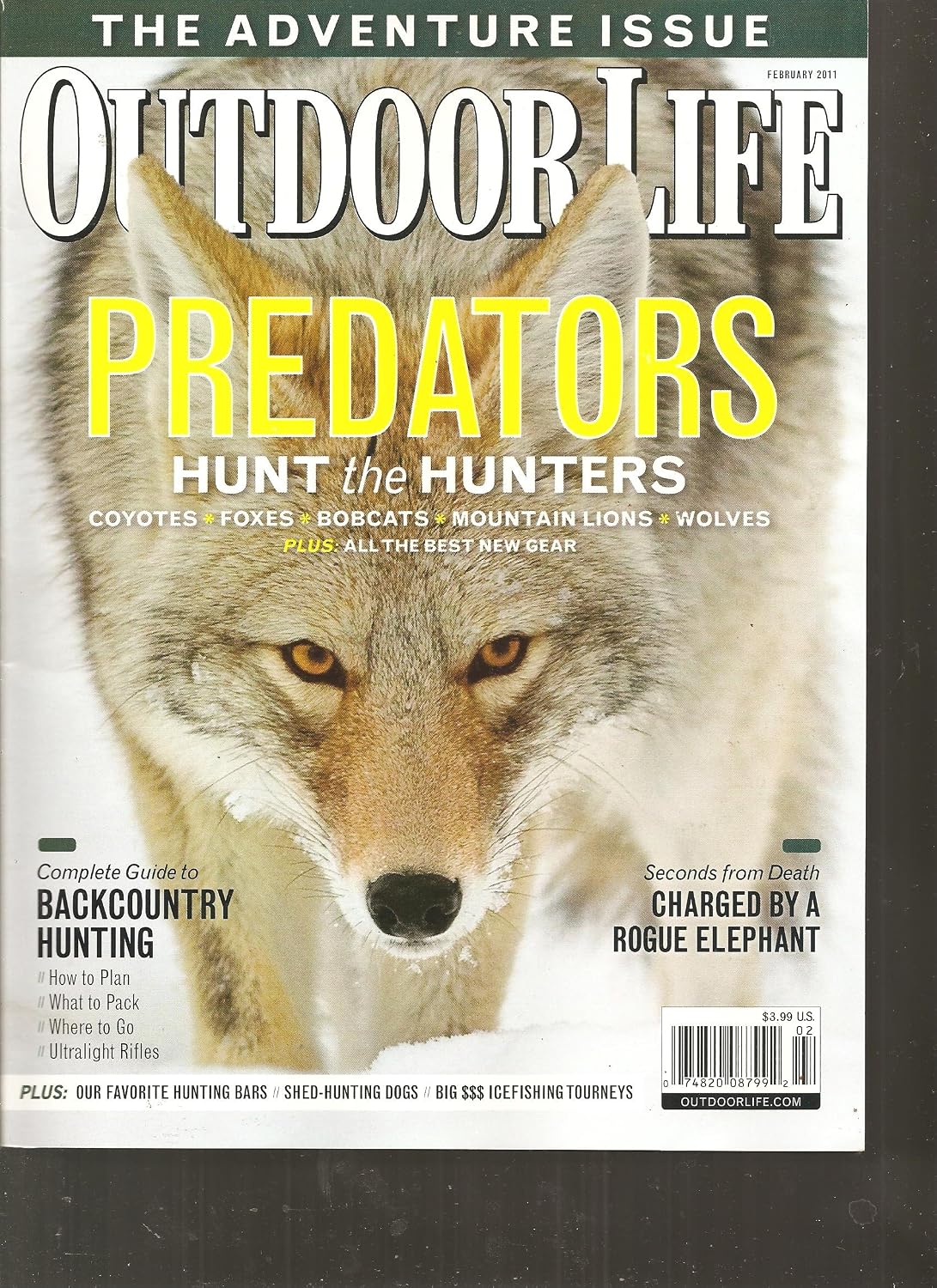 Outdoor Life Magazine (Predators hunt the hunters, February 2011 ...