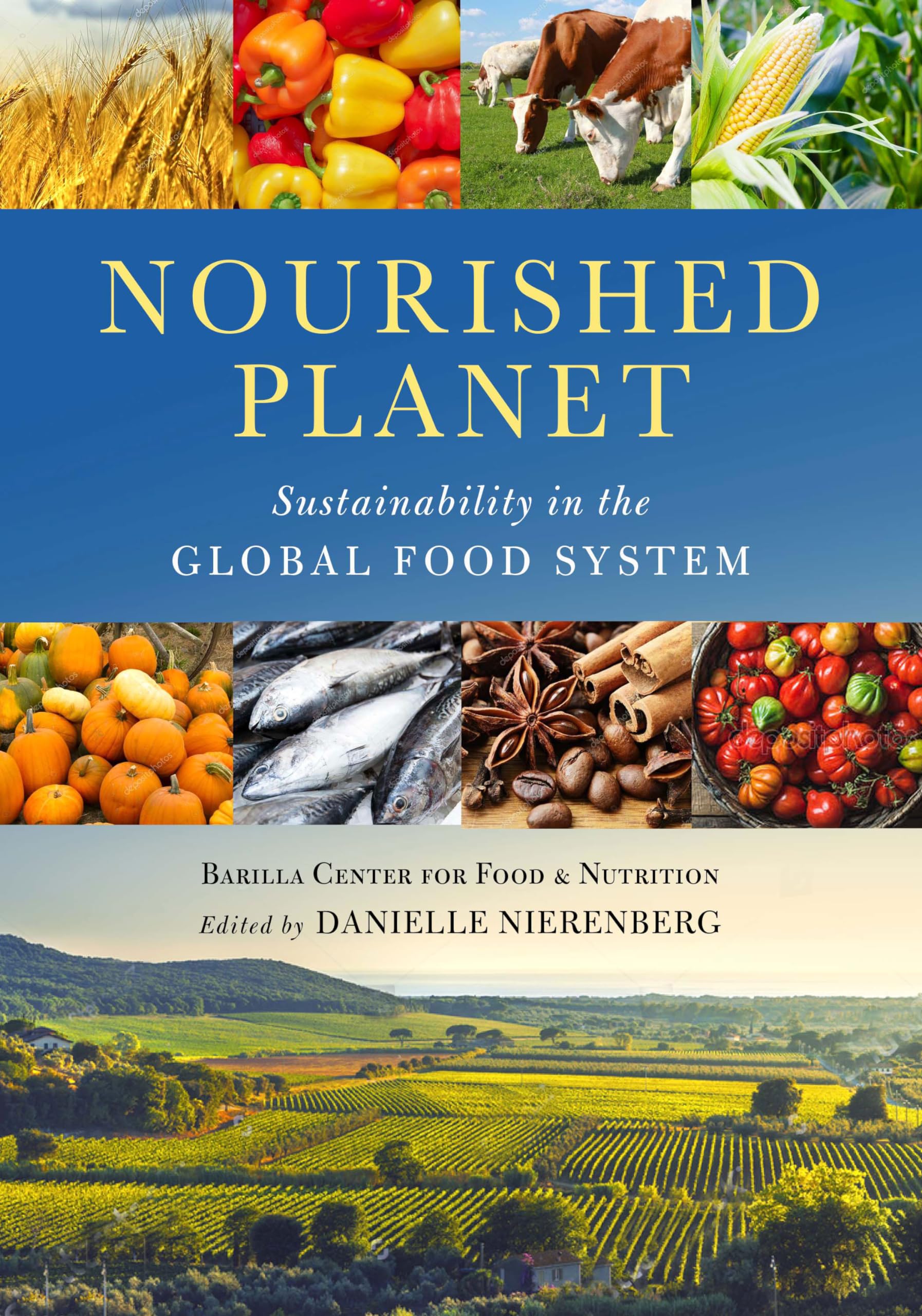 Amazon.com: Nourished Planet: Sustainability in the Global Food System ...