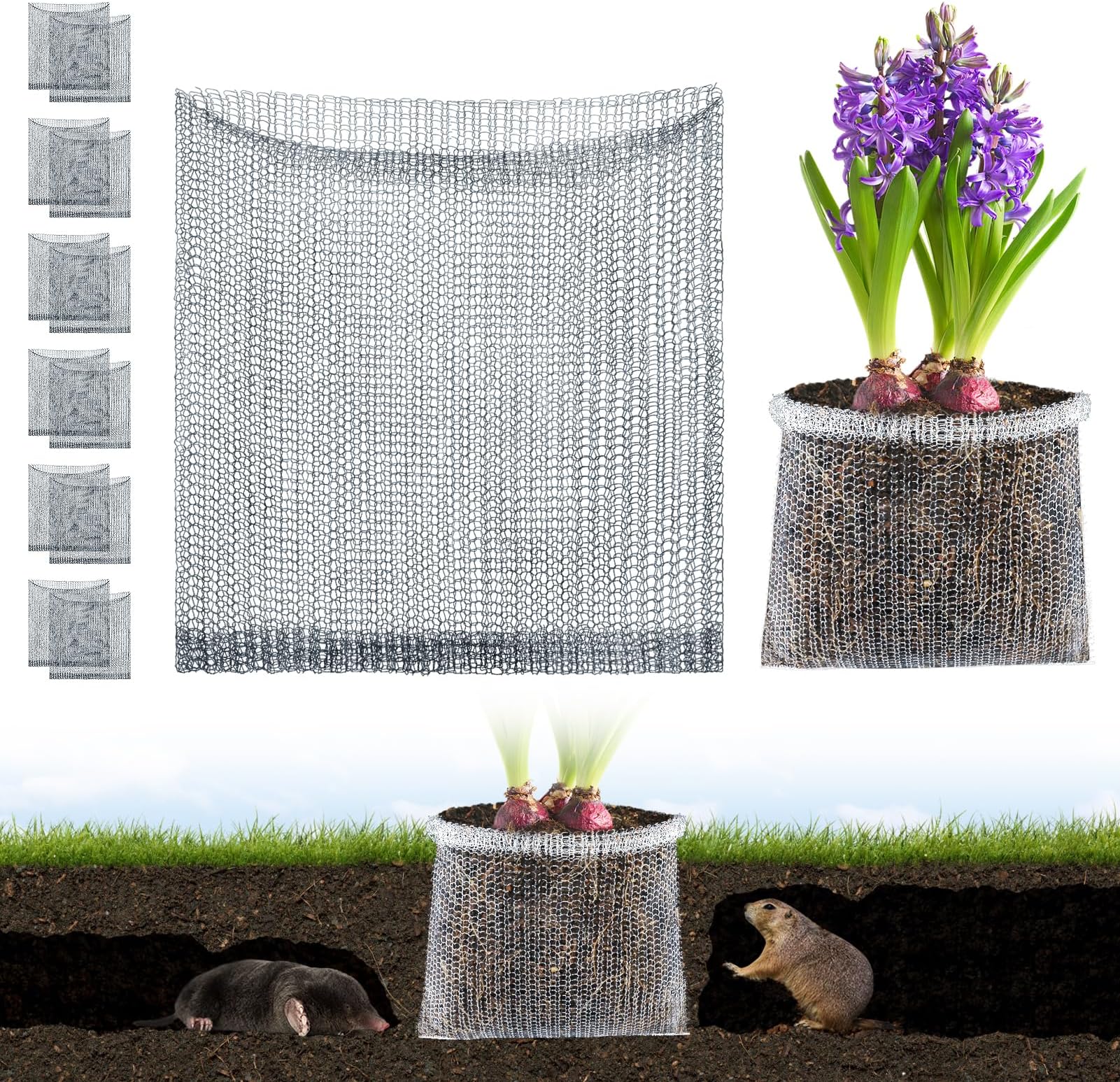Amazon.com : Digger’s 1-Gallon Root Guard Speed Baskets for Plants ...
