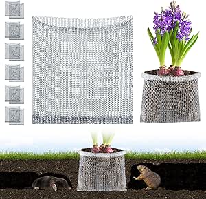 Amazon.com : Aulock 1 Gallon Plant Root Protector for Gopher Voles ...
