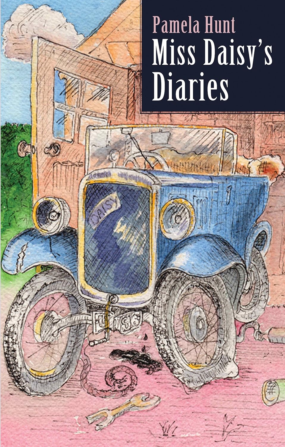 Miss Daisy's Diaries: Pamela Hunt: 9781780882079: Amazon.com: Books