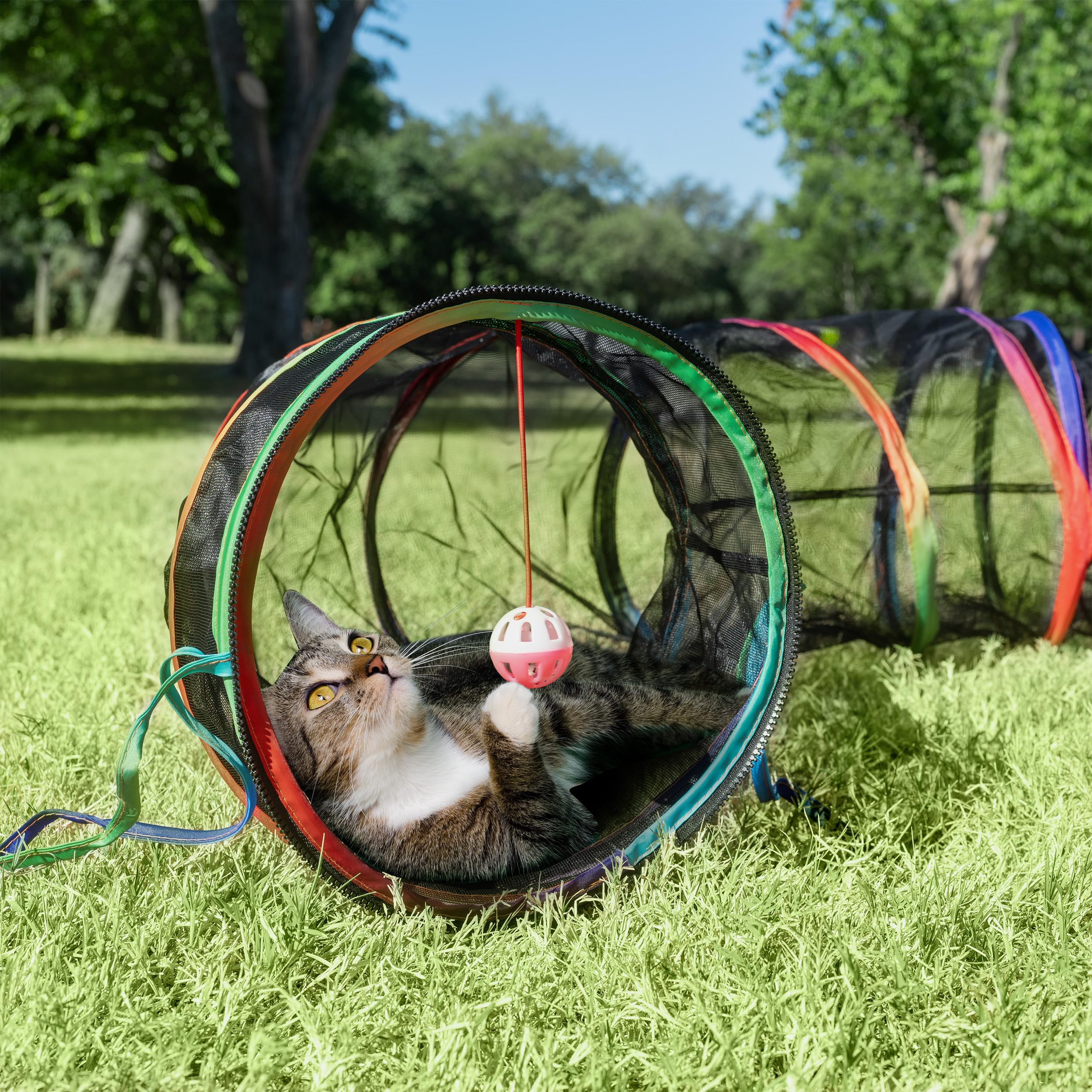 Outdoor Cat Pens Outdoor Cat Pen Ideas Hotsell