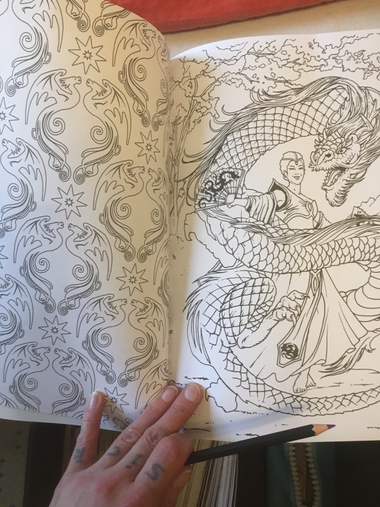 The Anne Stokes Fantasy Art Colouring Book : Stokes, Anne: Amazon.de ...