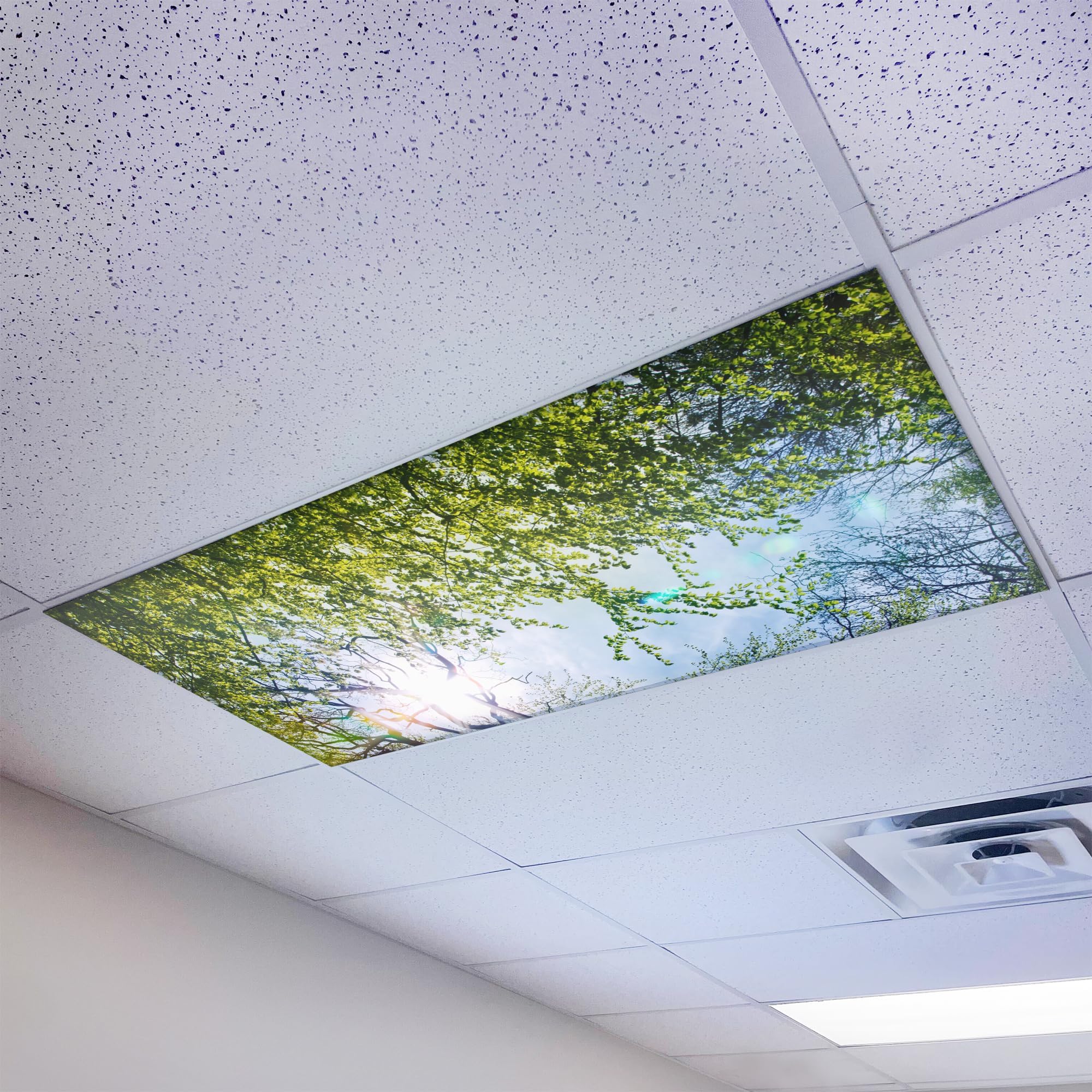 Forest Canopy View - 2ft x 4ft Drop Ceiling Fluorescent Decorative ...