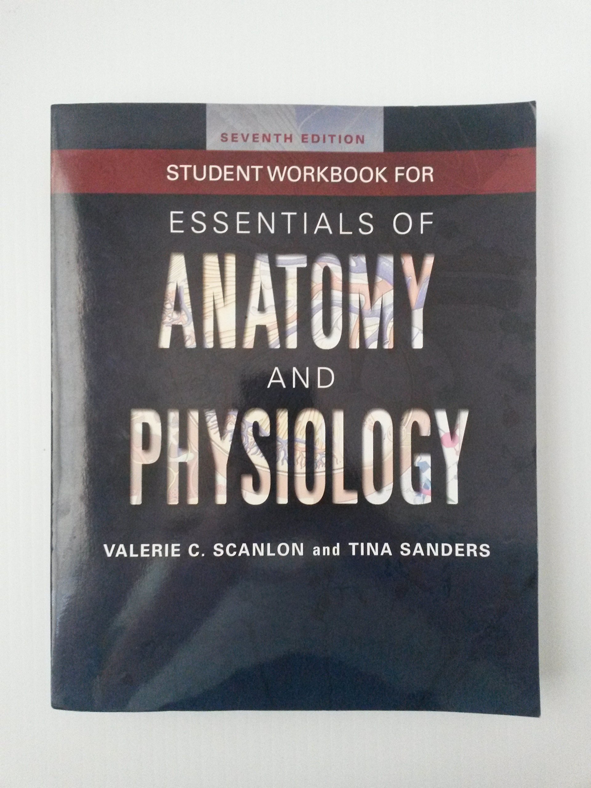 Student Workbook for Essentials of Anatomy and Physiology ...