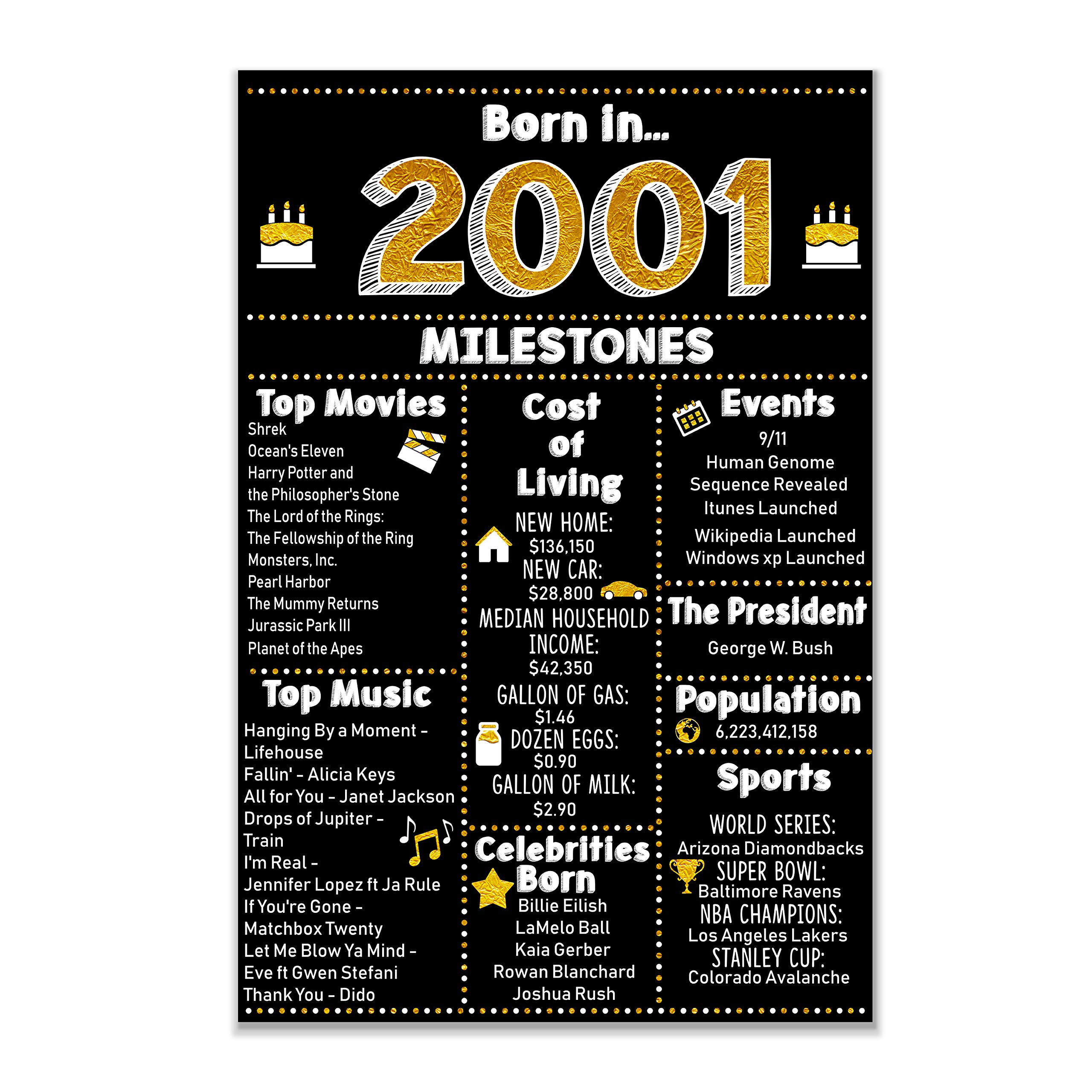 Amazon.com: Renditions Gallery Born-in-2001 Facts Art Print for Boys ...