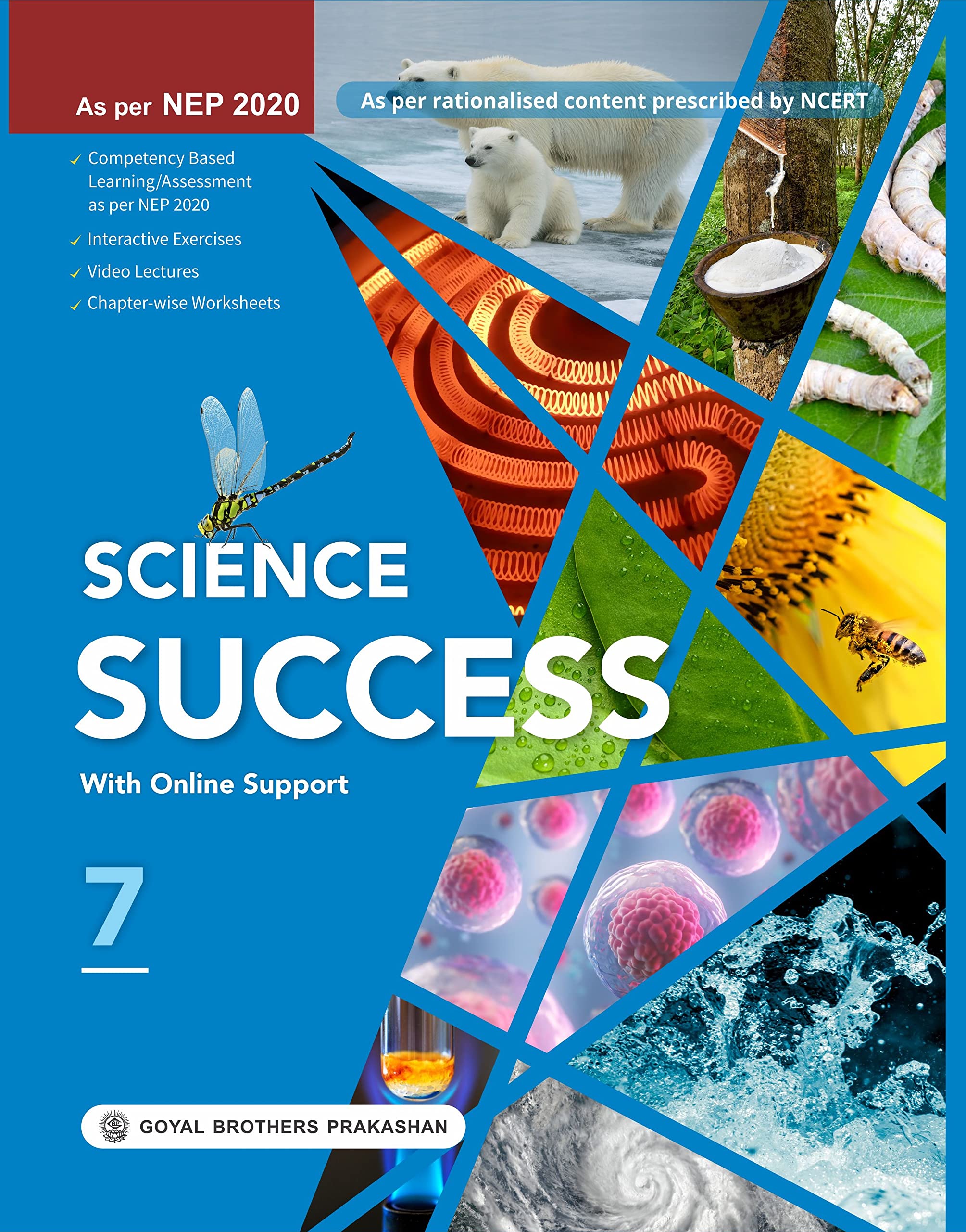 Science Success for Class 7 : Neelima Jain: Amazon.in: Books