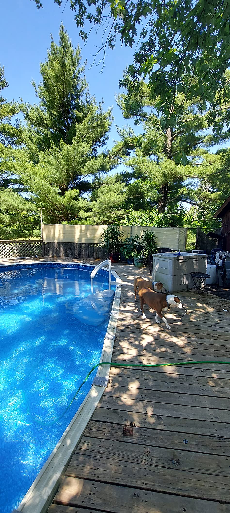 $18/mo - Finance E&K Balcony Privacy Screen for Deck Yard Patio Pool 3 ...