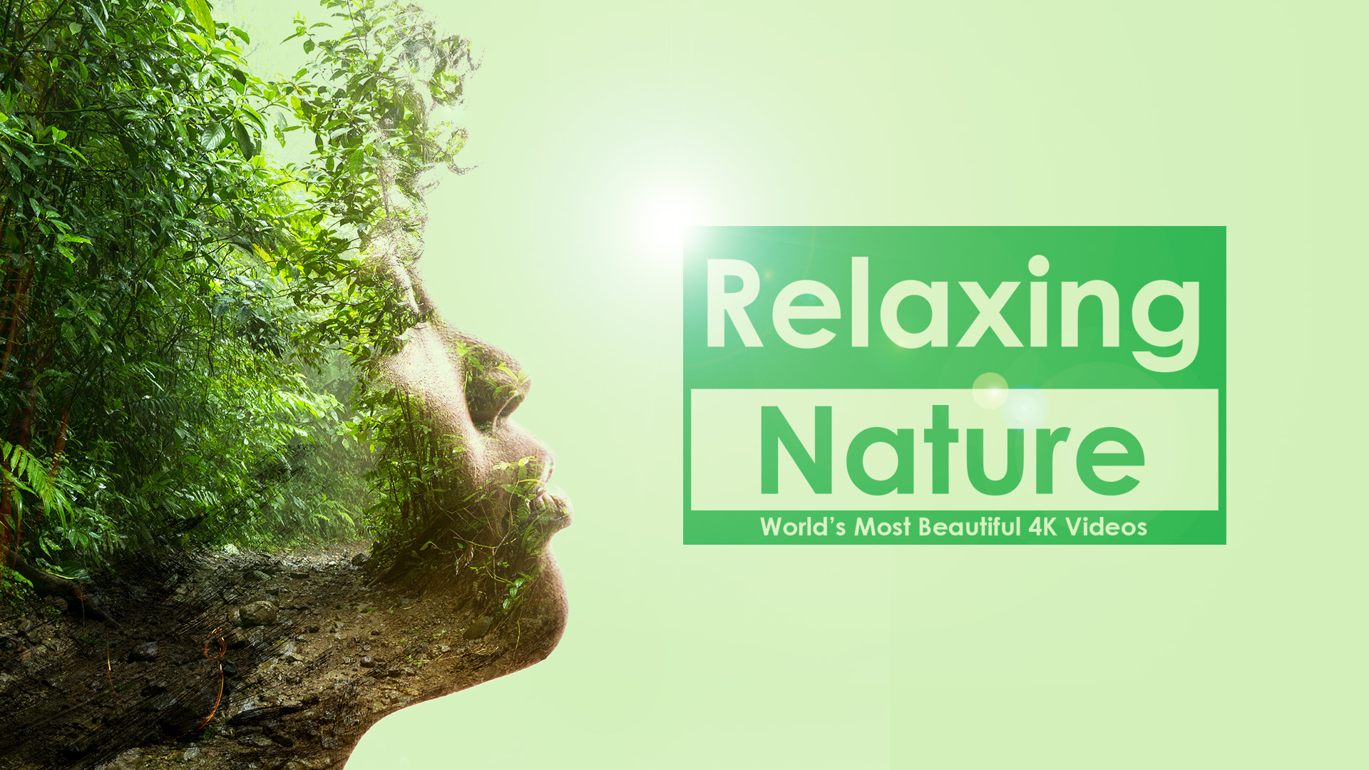 Relaxing Nature - App on Amazon Appstore