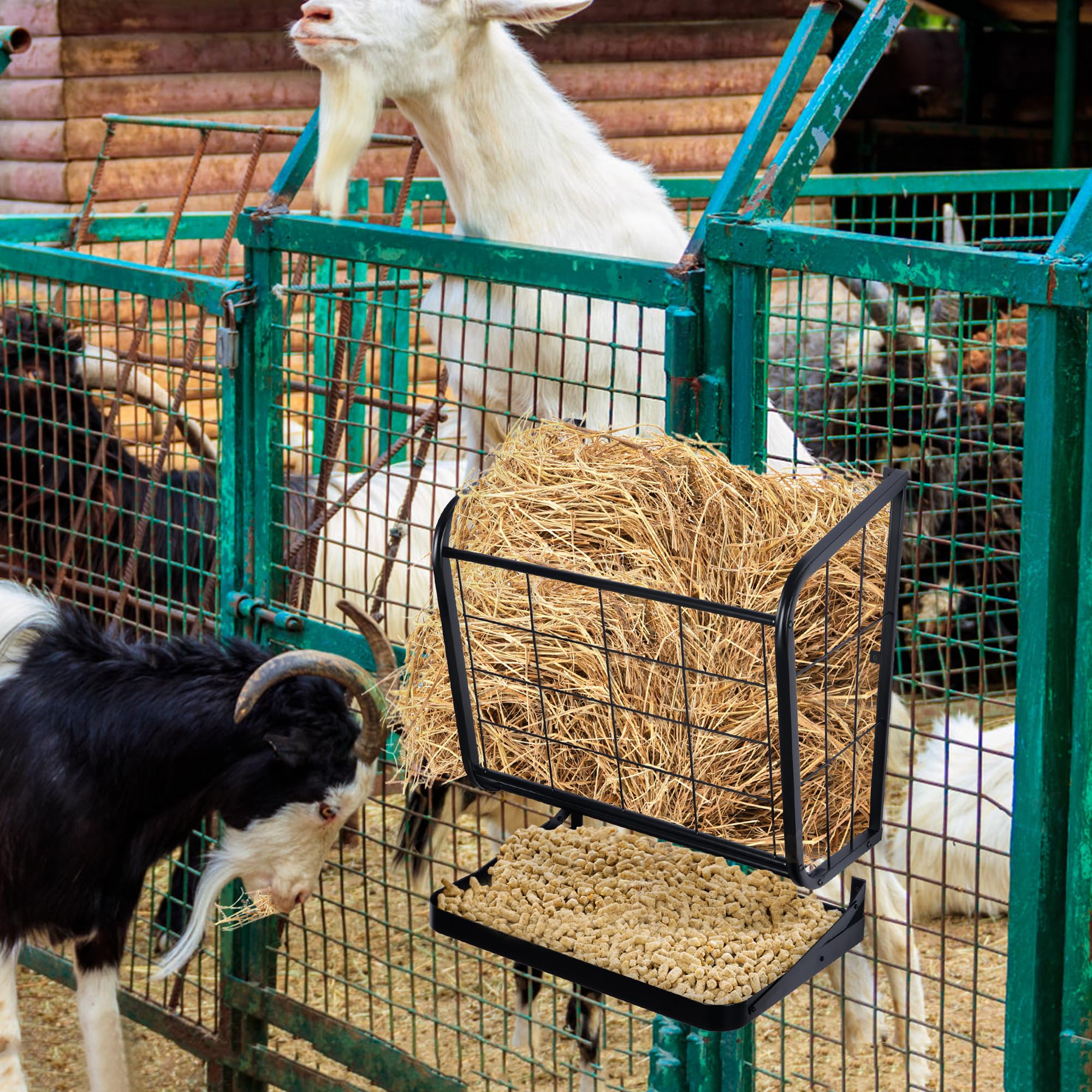 Auto Goat Feeder
