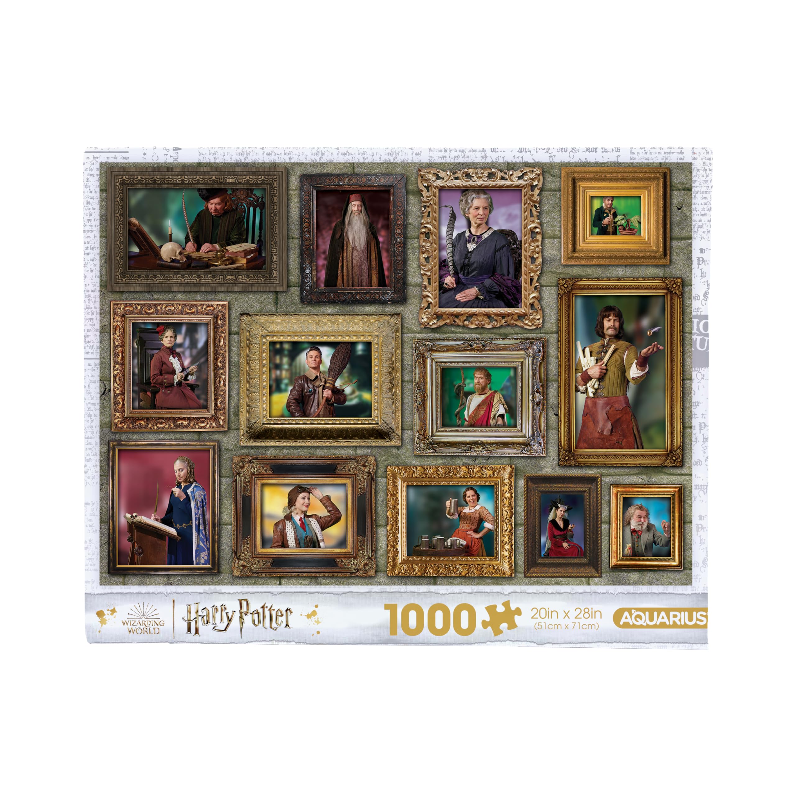 Amazon.com: AQUARIUS Harry Potter Witches & Wizards 1000pc Puzzle (1000 ...