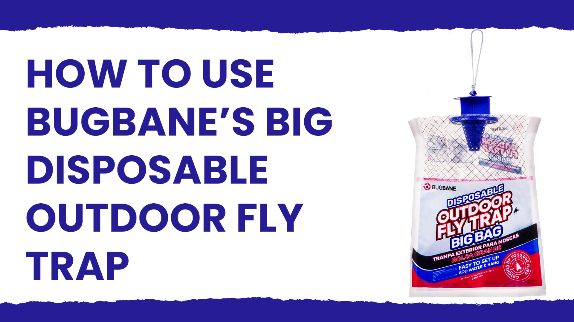 Watch How to Use BugBane's Big Disposable Fly Trap on Amazon Live
