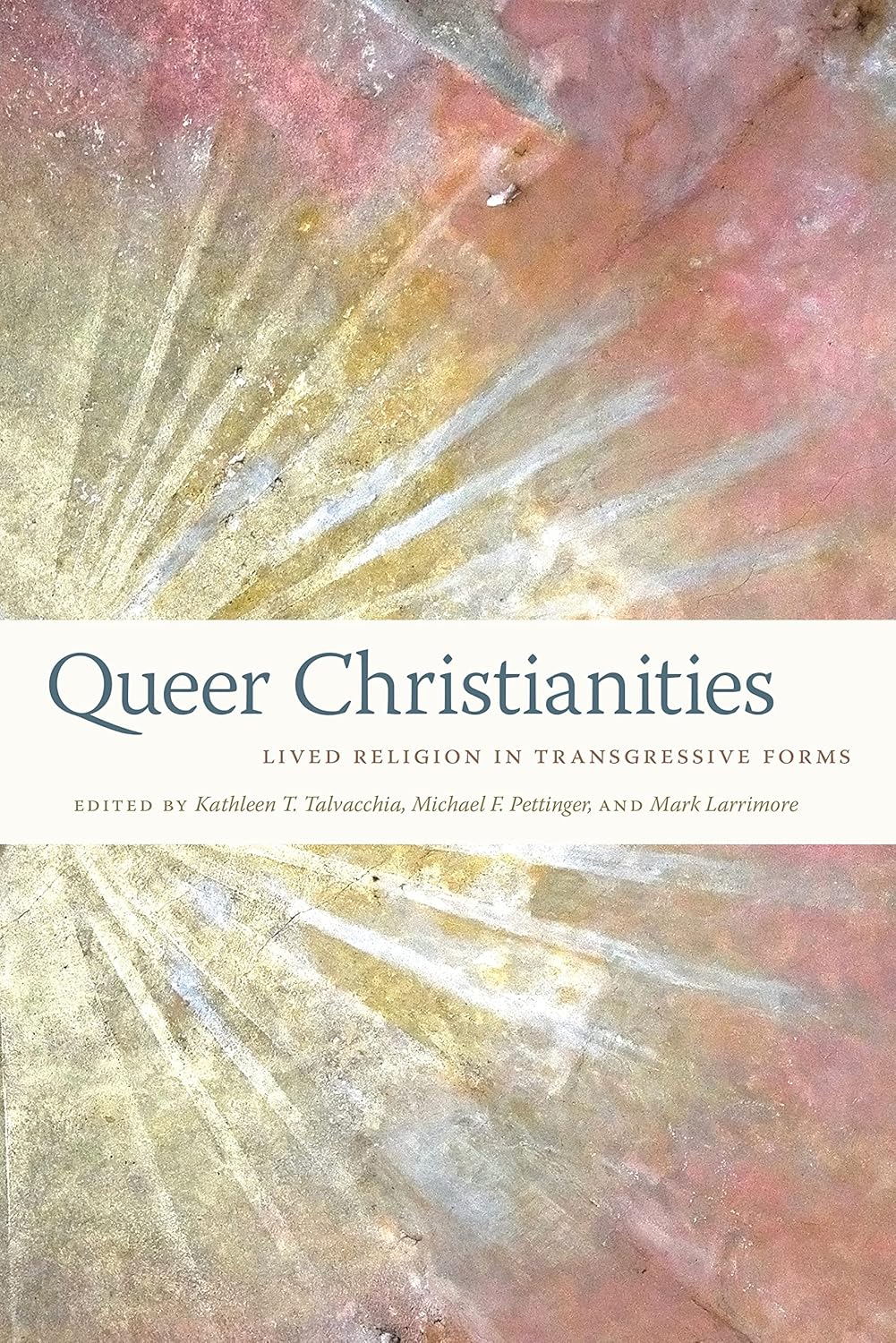 Queer Christianities: Lived Religion in Transgressive Forms: Talvacchia ...