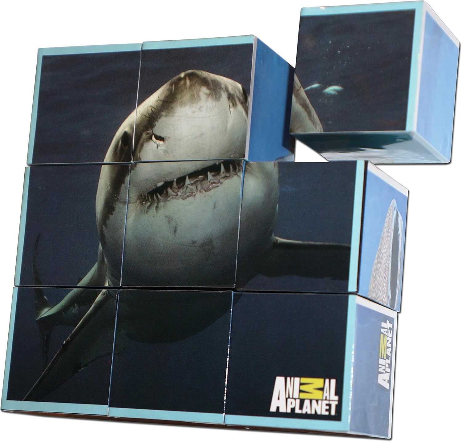Amazon.com: Animal Planet Puzzle Cube - Sharks Cube Puzzle : Toys & Games