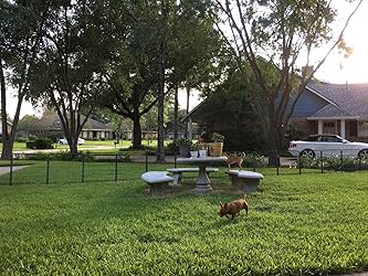 Amazon.com : Flyline 32" Height 8 Panels Dog Playpen Pet Pen Run ...