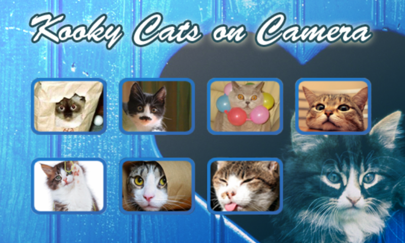 Kooky Cat Videos (Kindle Tablet Edition) - App on Amazon Appstore