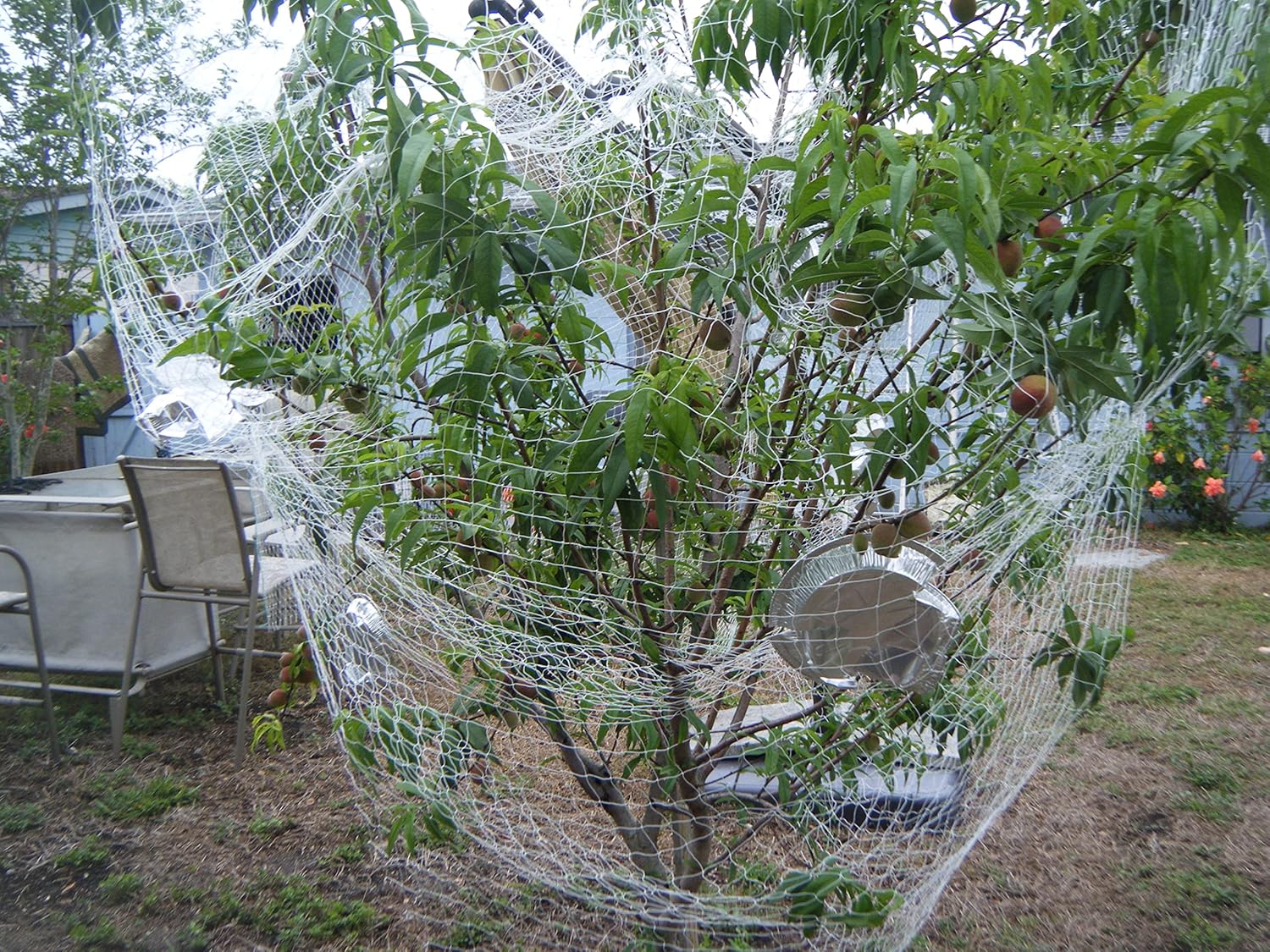 Amazon.com : 30 FT x 8 FT Fishing NET Fishing Theme Party Decorations ...