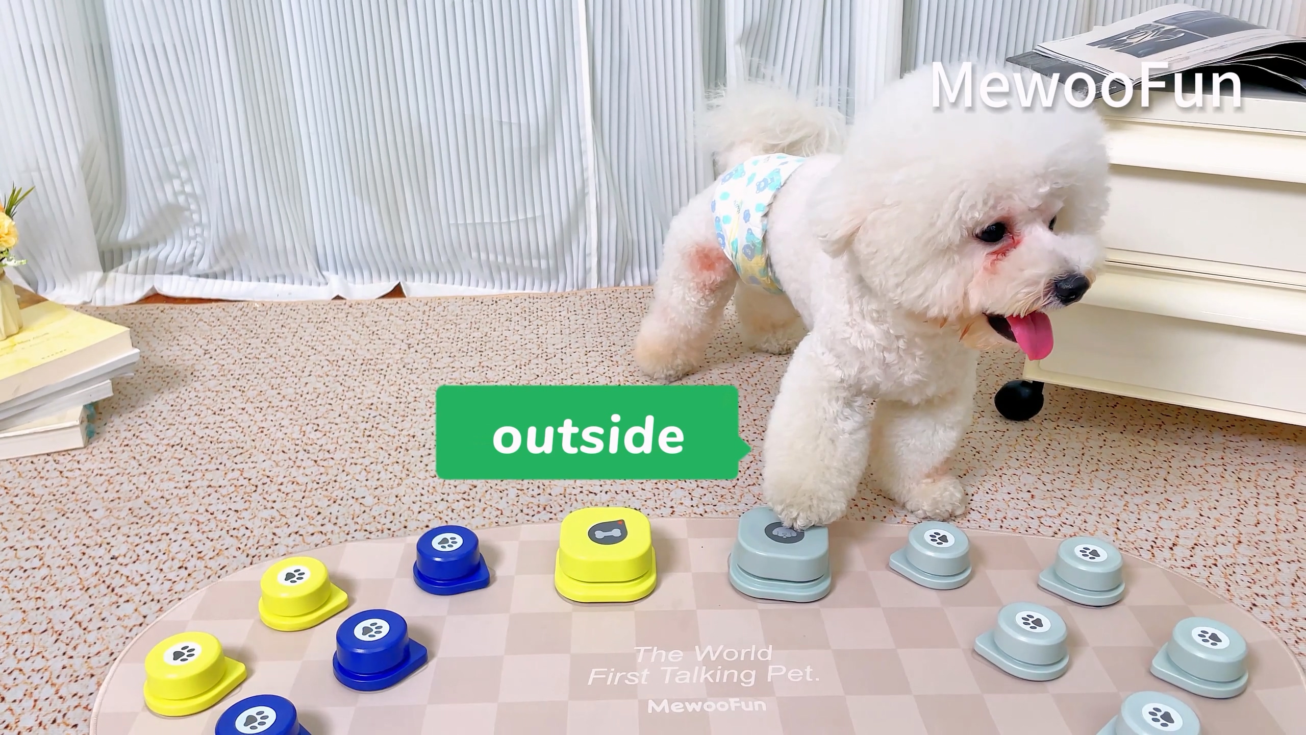 Watch MEWOOFUN Dog Talking Buttons 12 Packs on Amazon Live