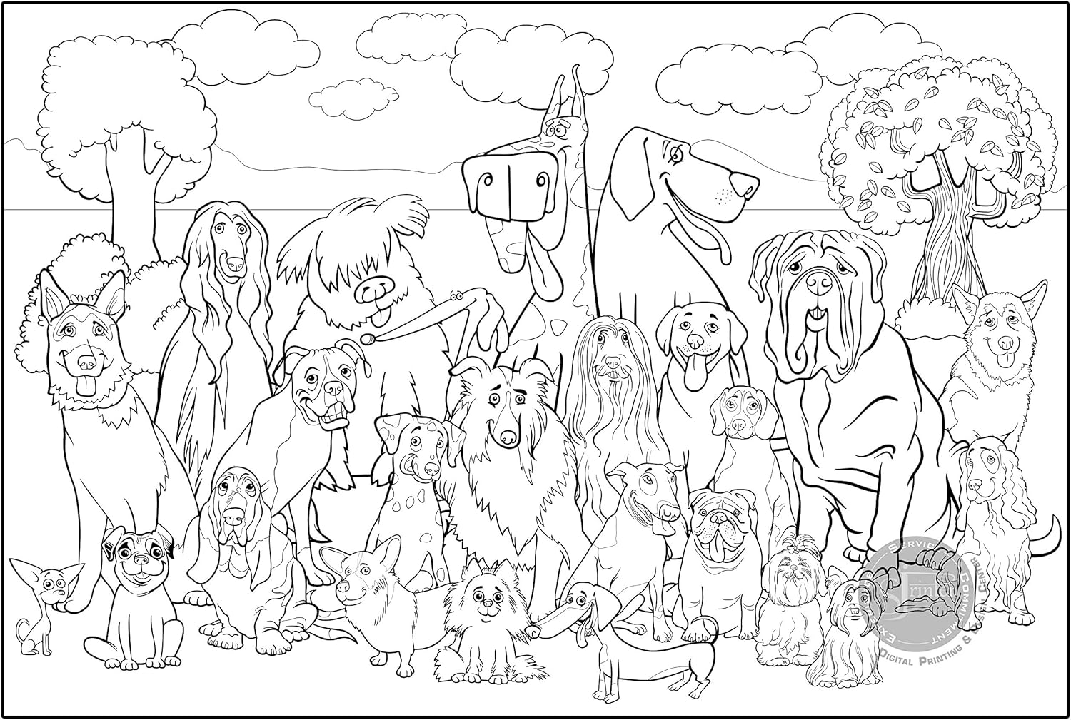 Amazon.com: SJPRINTER Giant Coloring Poster for Kids and Adults ...