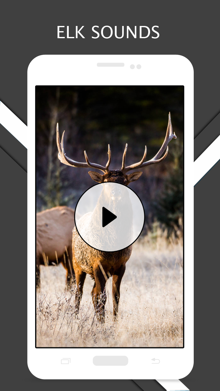 Elk Sounds And Ringtones:Amazon.com:Appstore for Android