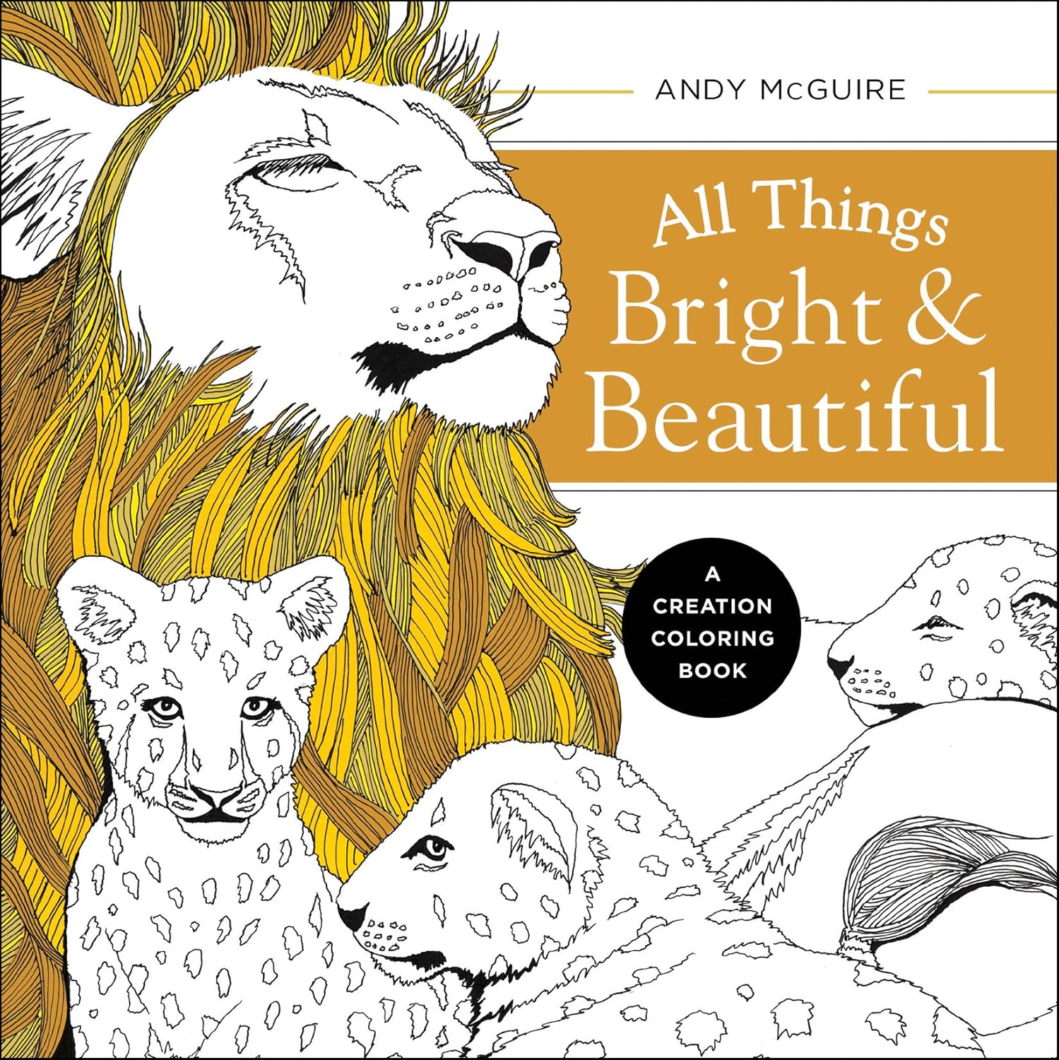 Amazon.com: All Things Bright and Beautiful: A Creation Coloring Book ...