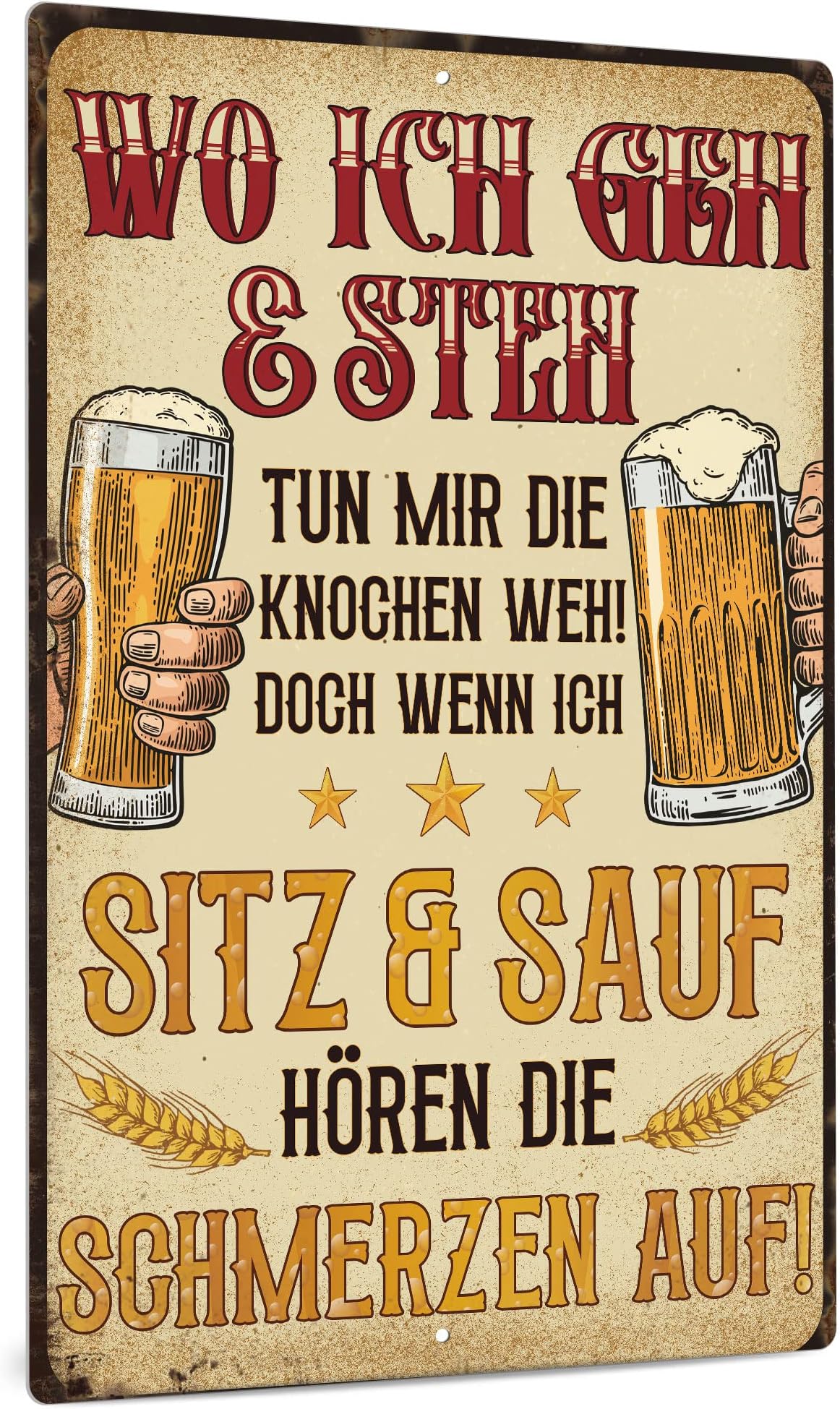 Amazon.de: LANOLU Retro Blechschild Bier - lustige Schilder mit ...