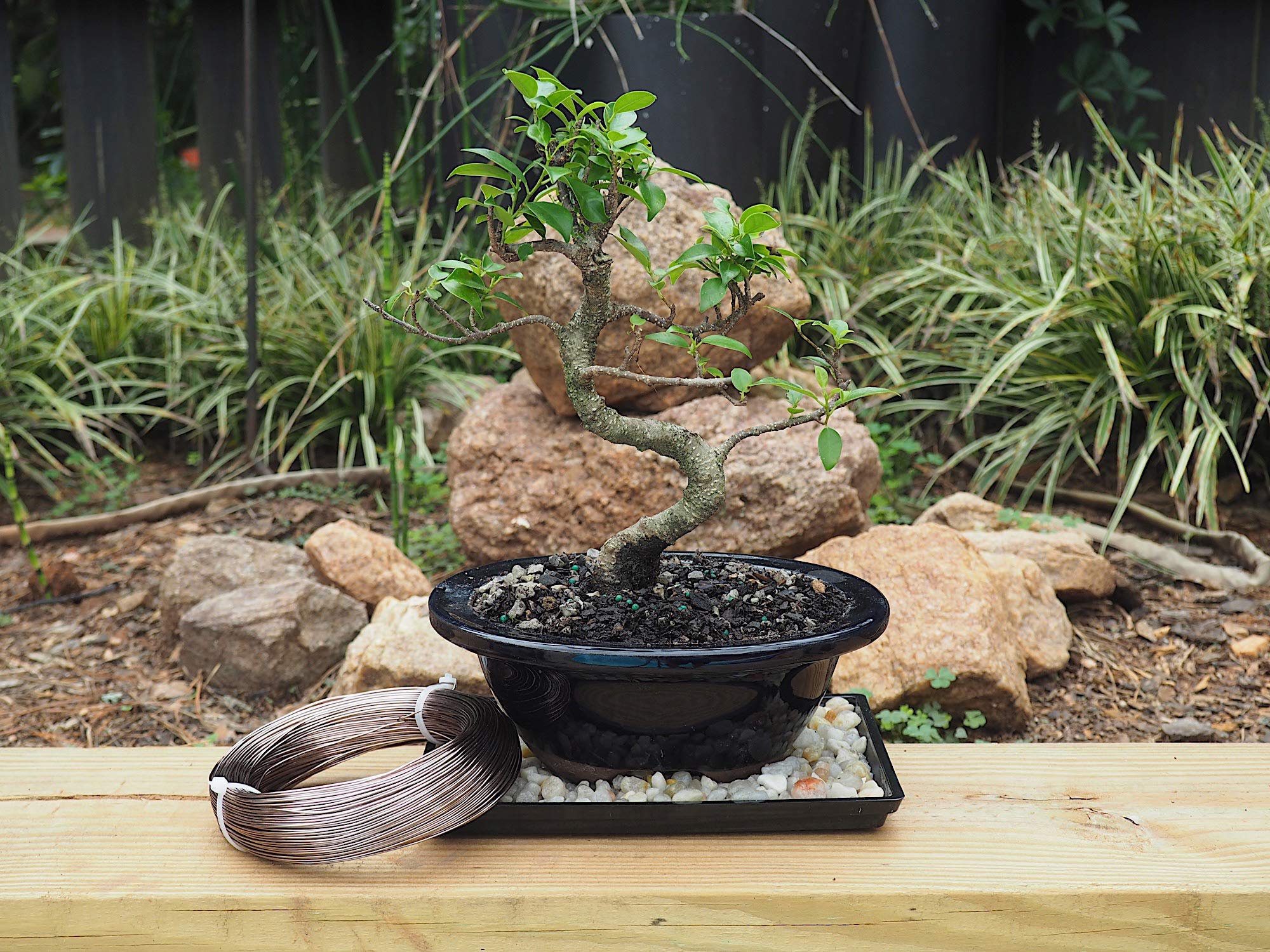 Snapklik.com : Anodized Aluminum 1.0mm Bonsai Training Wire 250g Large Roll