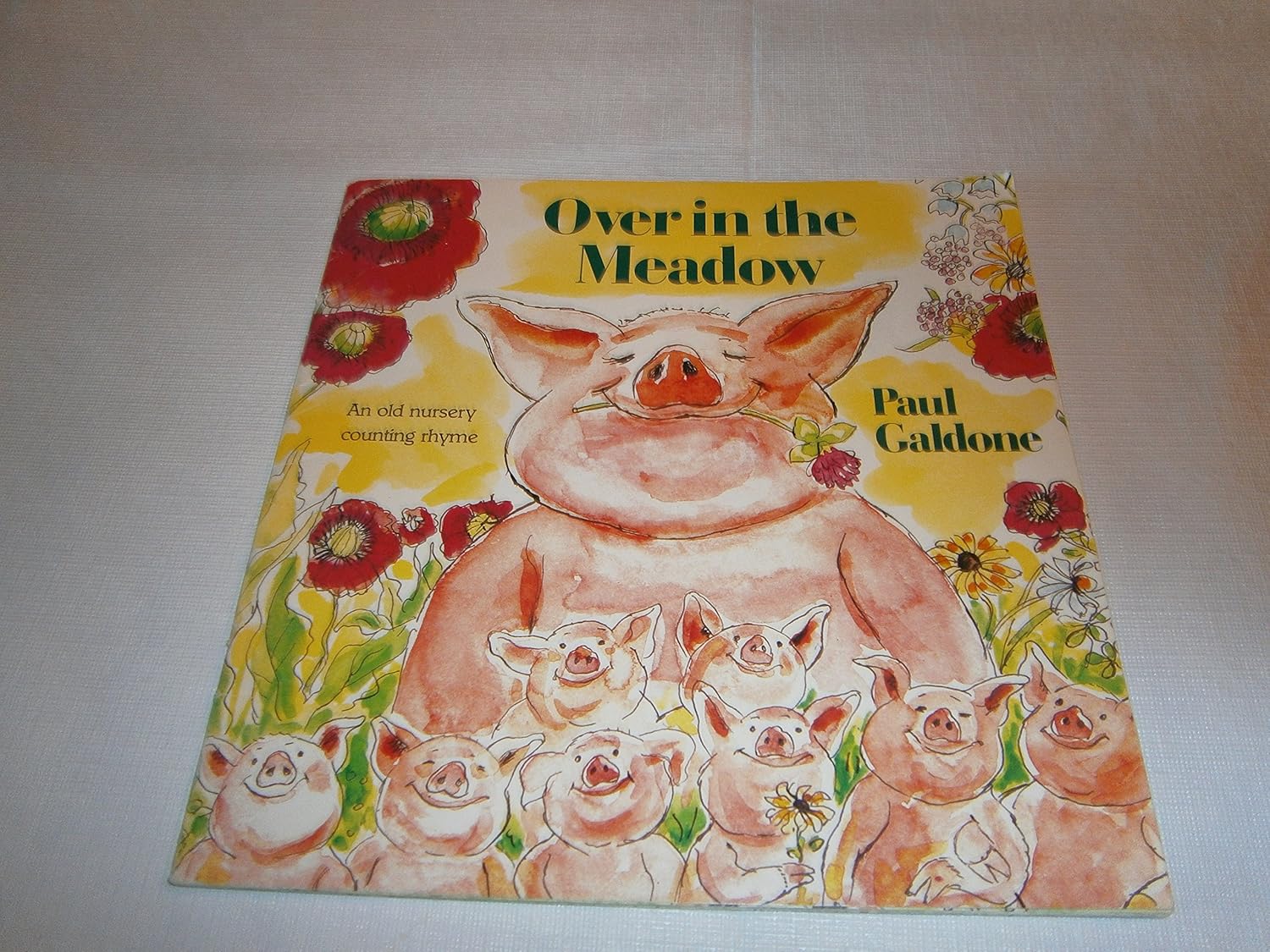 Over in the Meadow: An Old Nursery Counting Rhyme: Galdone, Paul ...