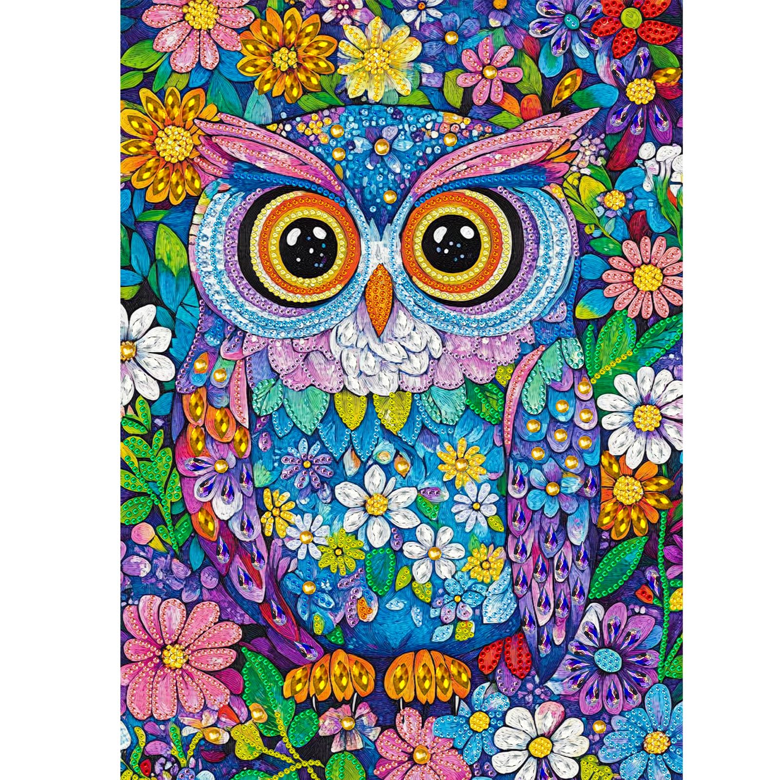 Amazon.com: KEYIFA Diamond Painting Colorful Owl Diamond Art Kits for ...