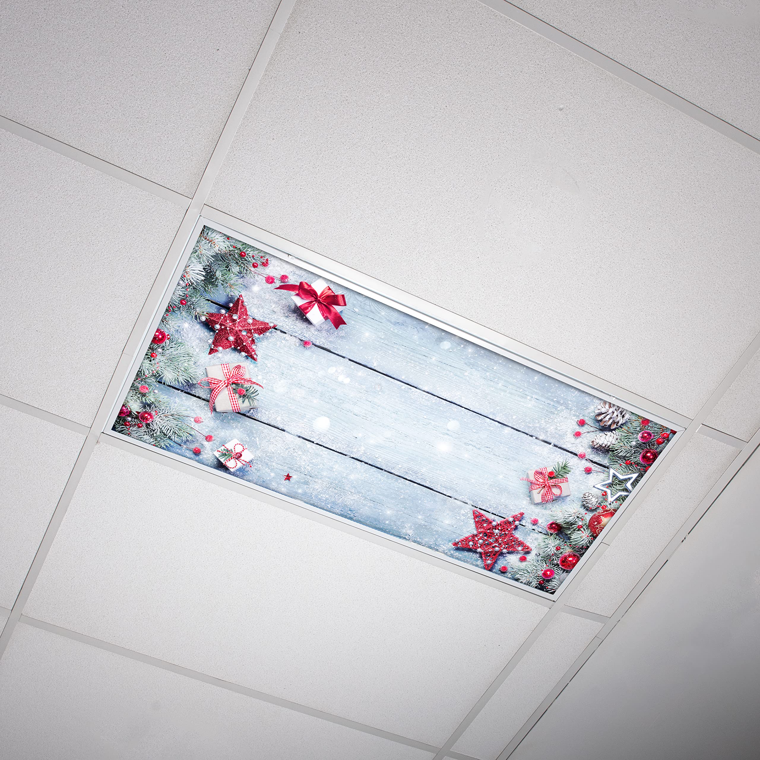 OCTO LIGHTS Fluorescent Light Covers for Ceiling Lights Classroom 2x4 ...