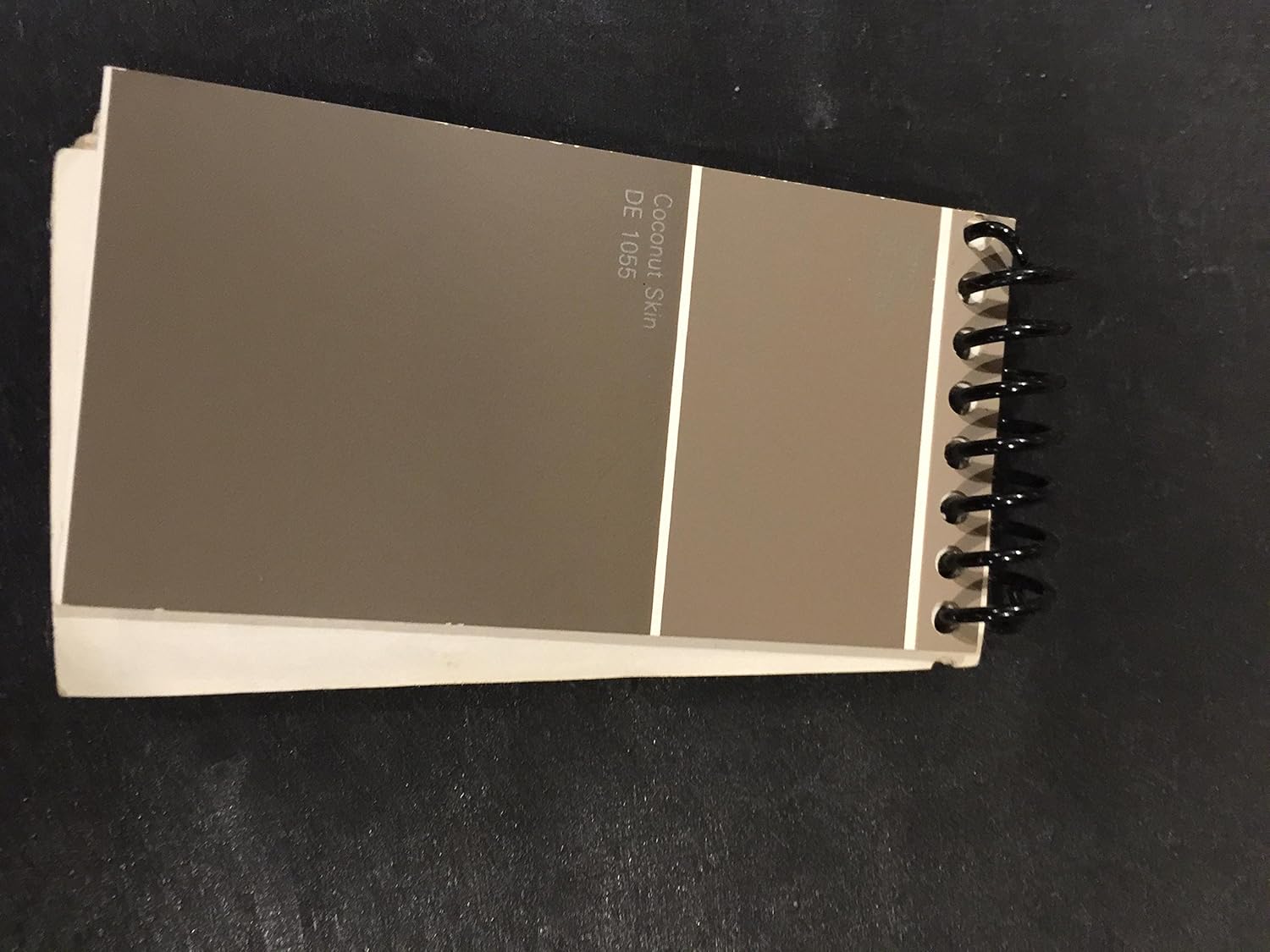 Amazon.com: Monopoly Money/Paint Chip Notebook-$1"Coconut Skin ...