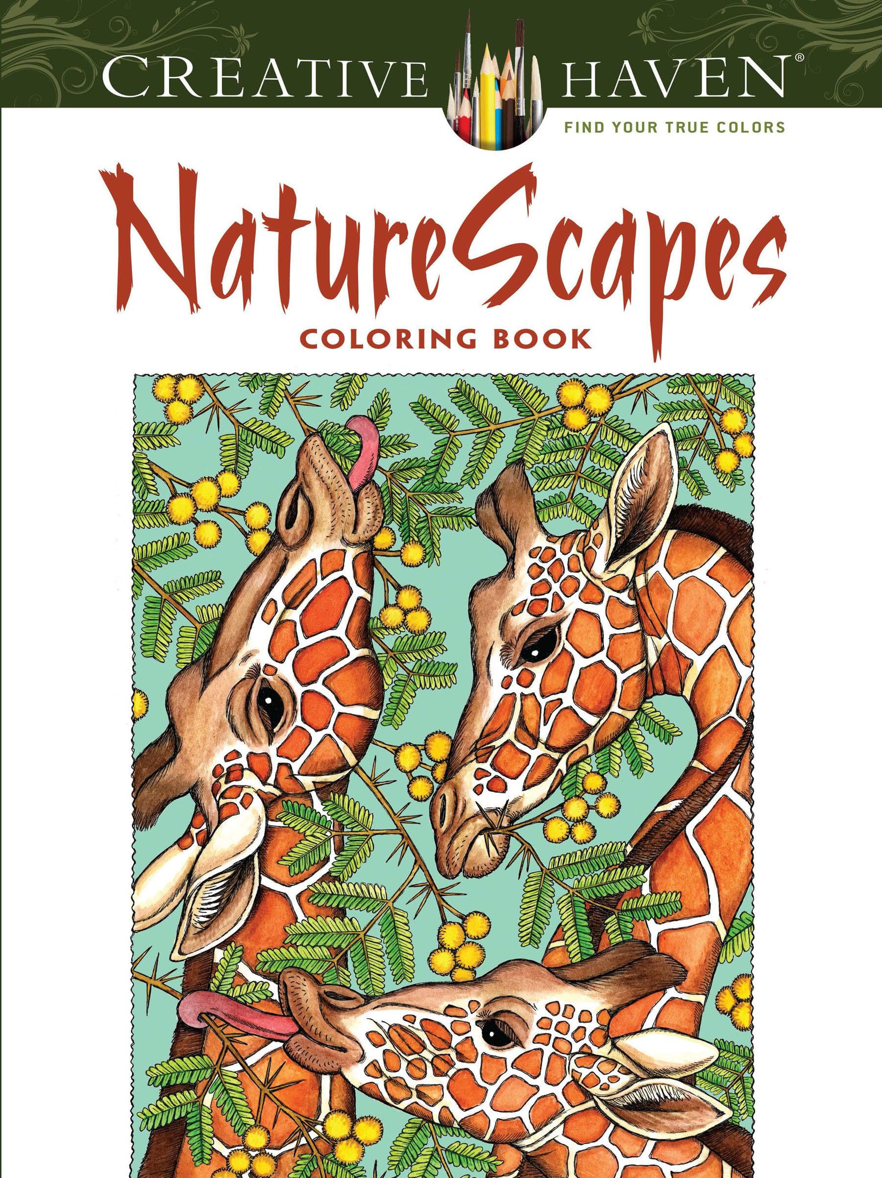 Amazon.com: Creative Haven NatureScapes Coloring Book (Adult Coloring ...