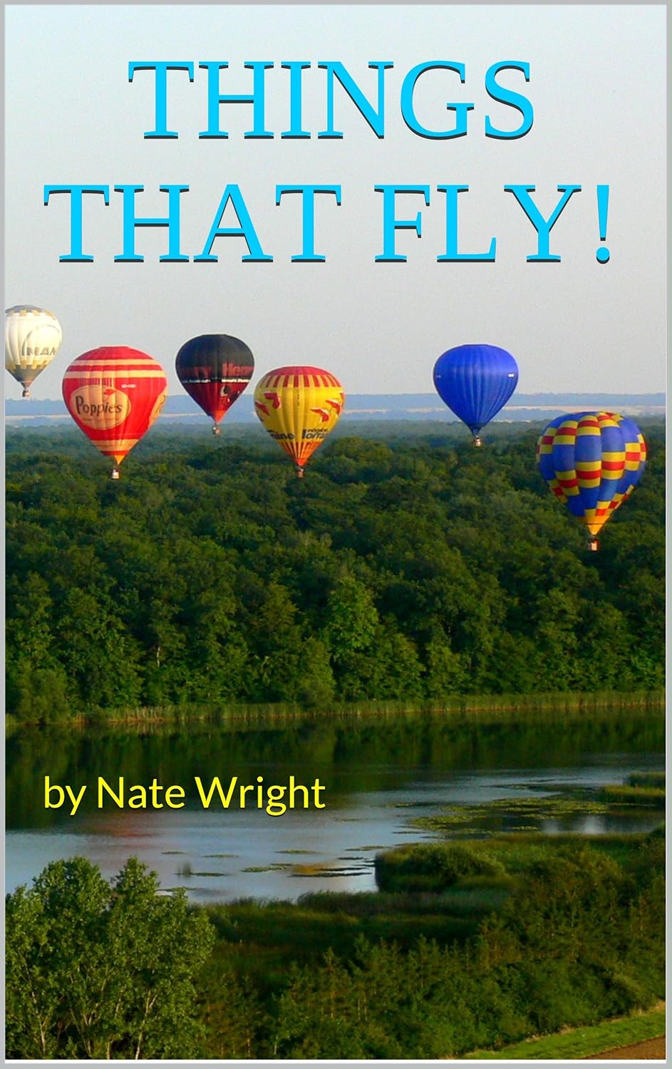 Things that fly! - Kindle edition by Wright, Nate. Children Kindle ...