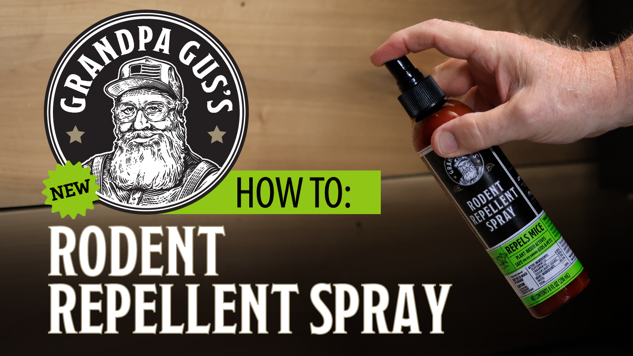 Watch How to use Grandpa Gus's Rodent Repellent Spray on Amazon Live
