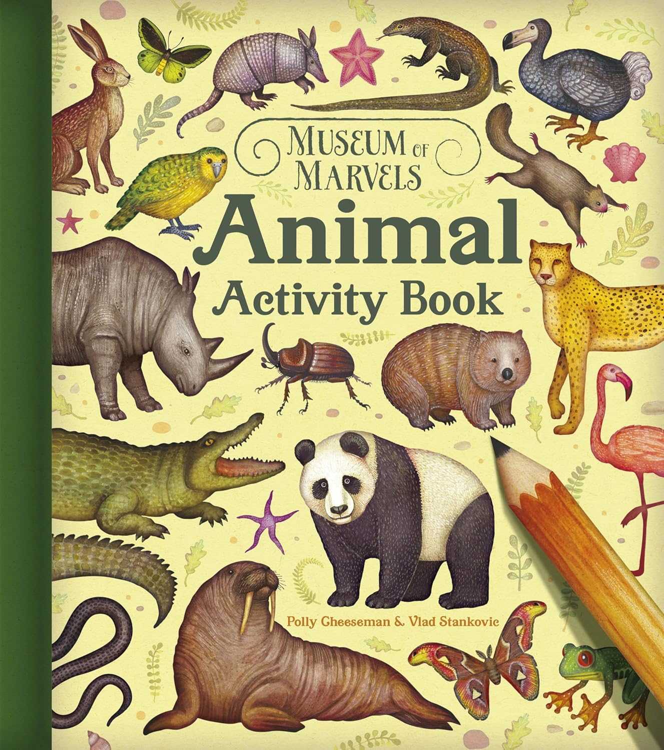 Museum of Marvels: Animal Activity Book: Cheeseman, Polly, Stankovic ...