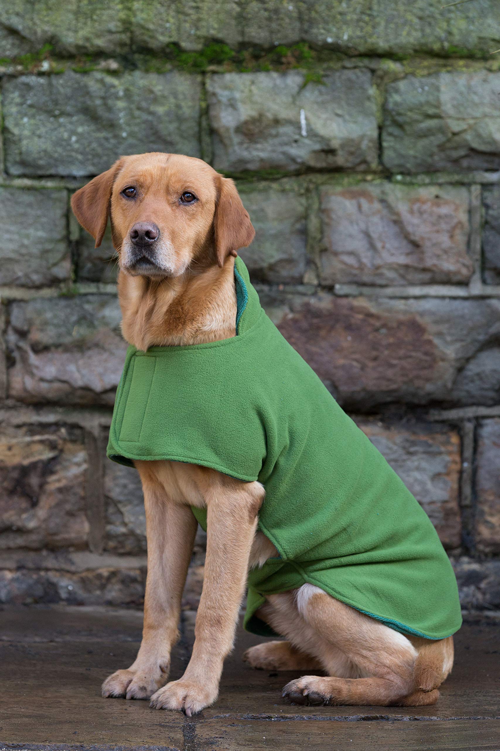 Dog & Field Thermotec Dog Fleece Jumper - Green. Fleece Lined Jacket ...