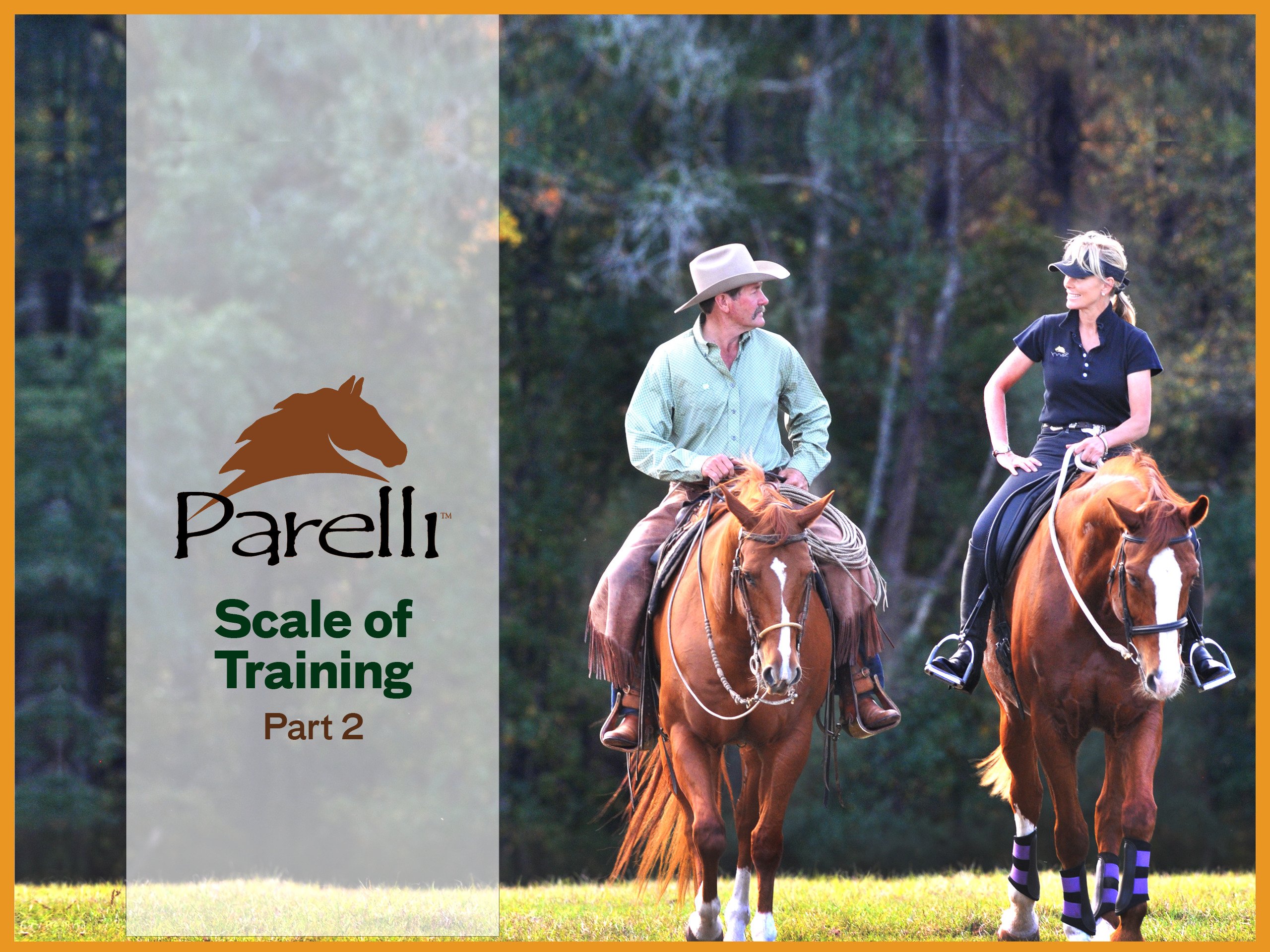 Watch Parelli: Scale of Training | Prime Video