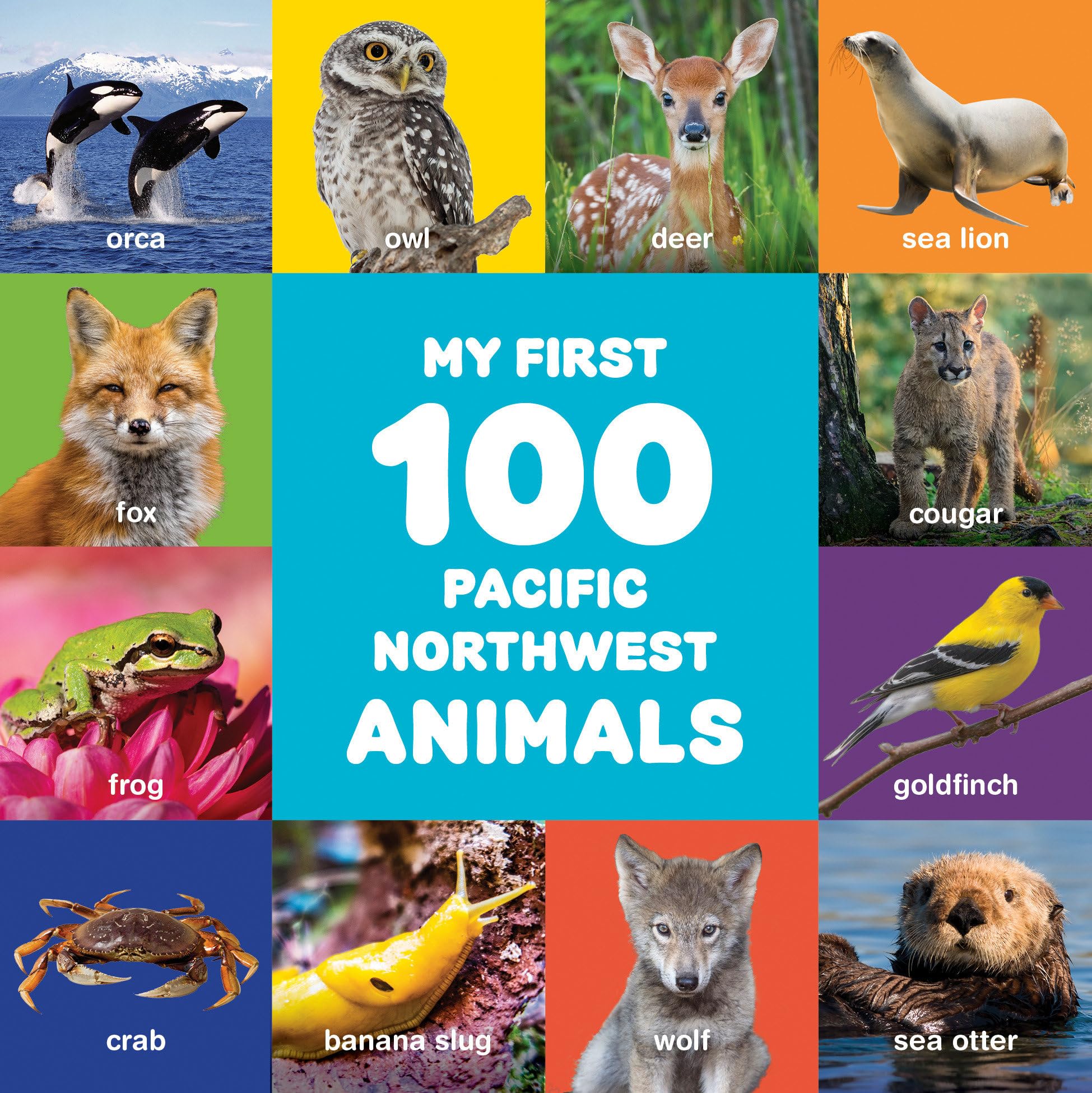 My First 100 Pacific Northwest Animals: Bigfoot, Little: 9781632175014 ...