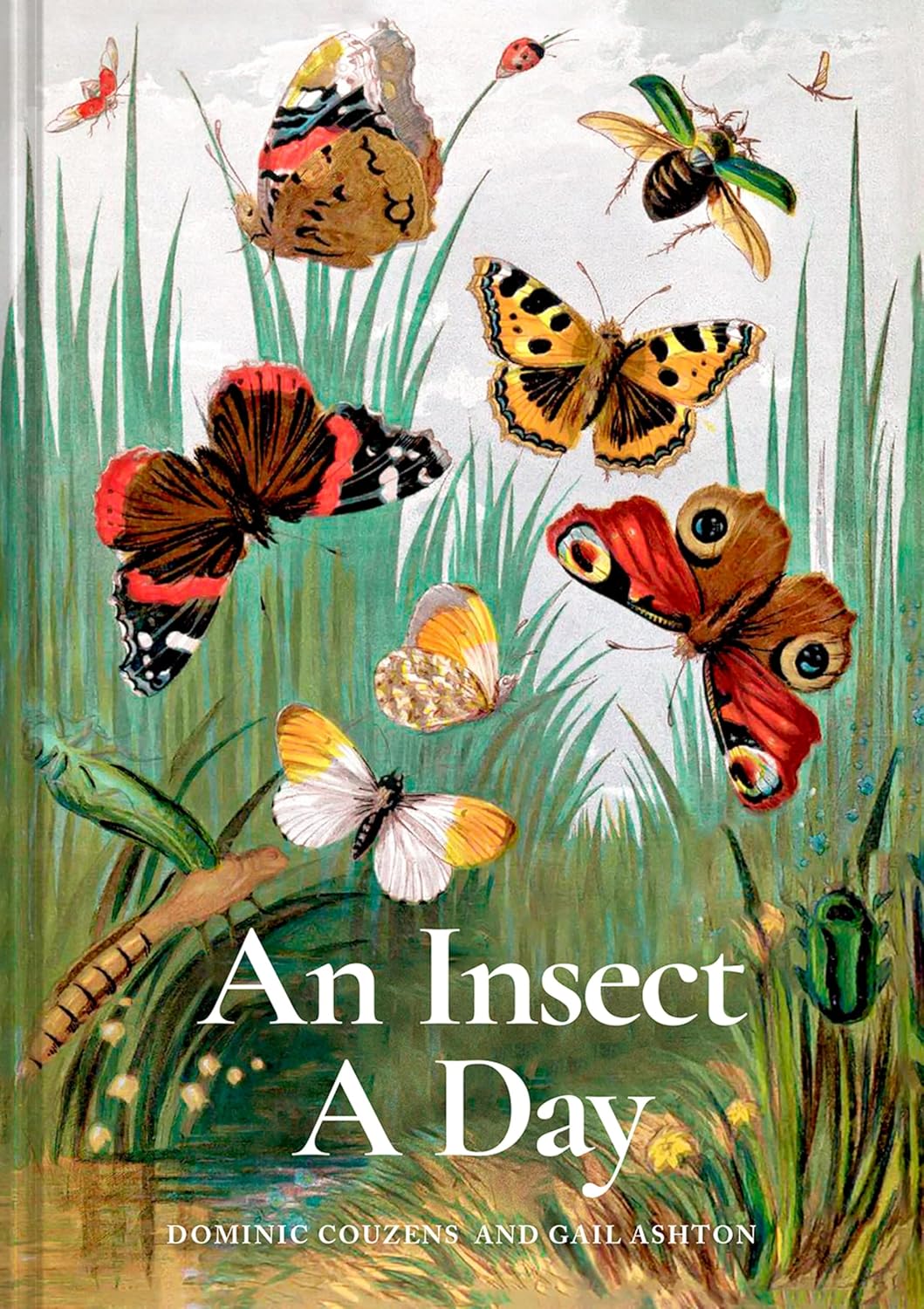 An Insect A Day , Couzens, Dominic, Ashton, Gail - Amazon.com