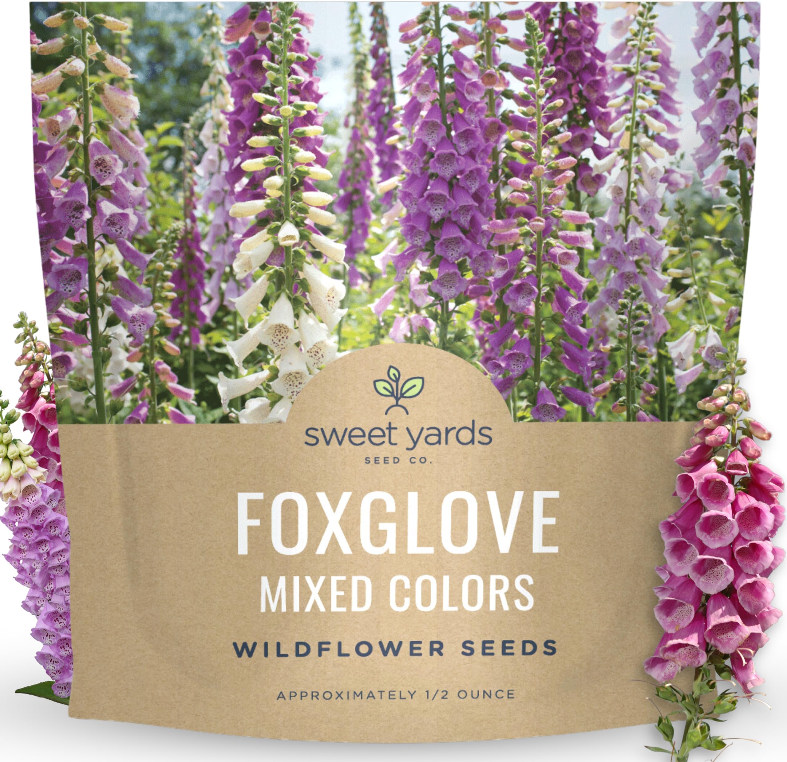 Amazon.com : Clovers Garden Foxglove (Digitalis purpurea) Camelot Mix ...