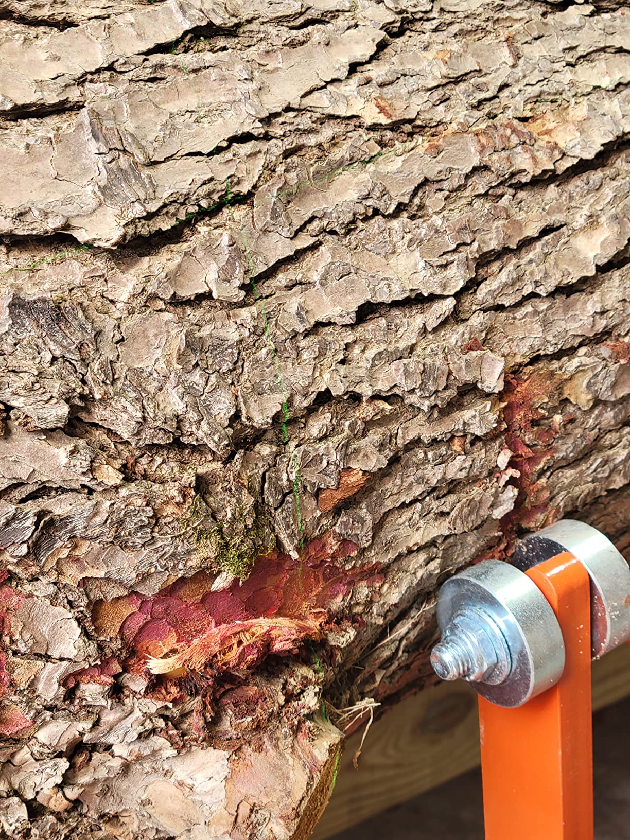 $9/mo - Finance APEXFORGE X1C Cross Line Laser Level, with Rechargeable Battery, 100ft Green ...