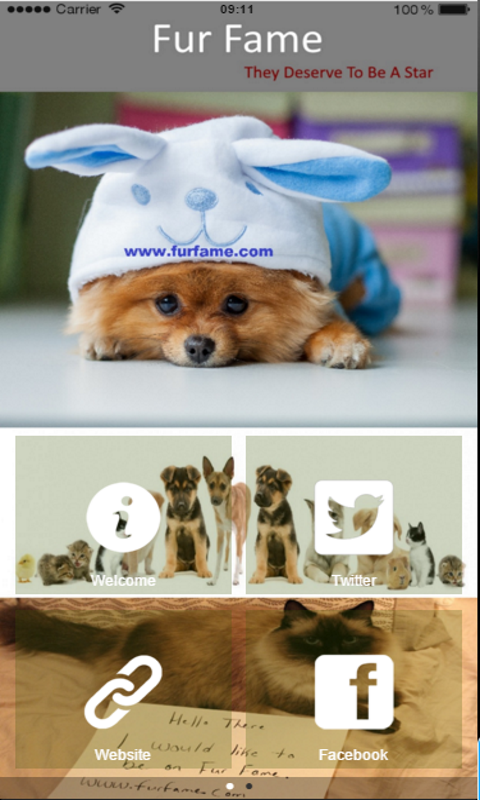 Fur Fame - App on Amazon Appstore