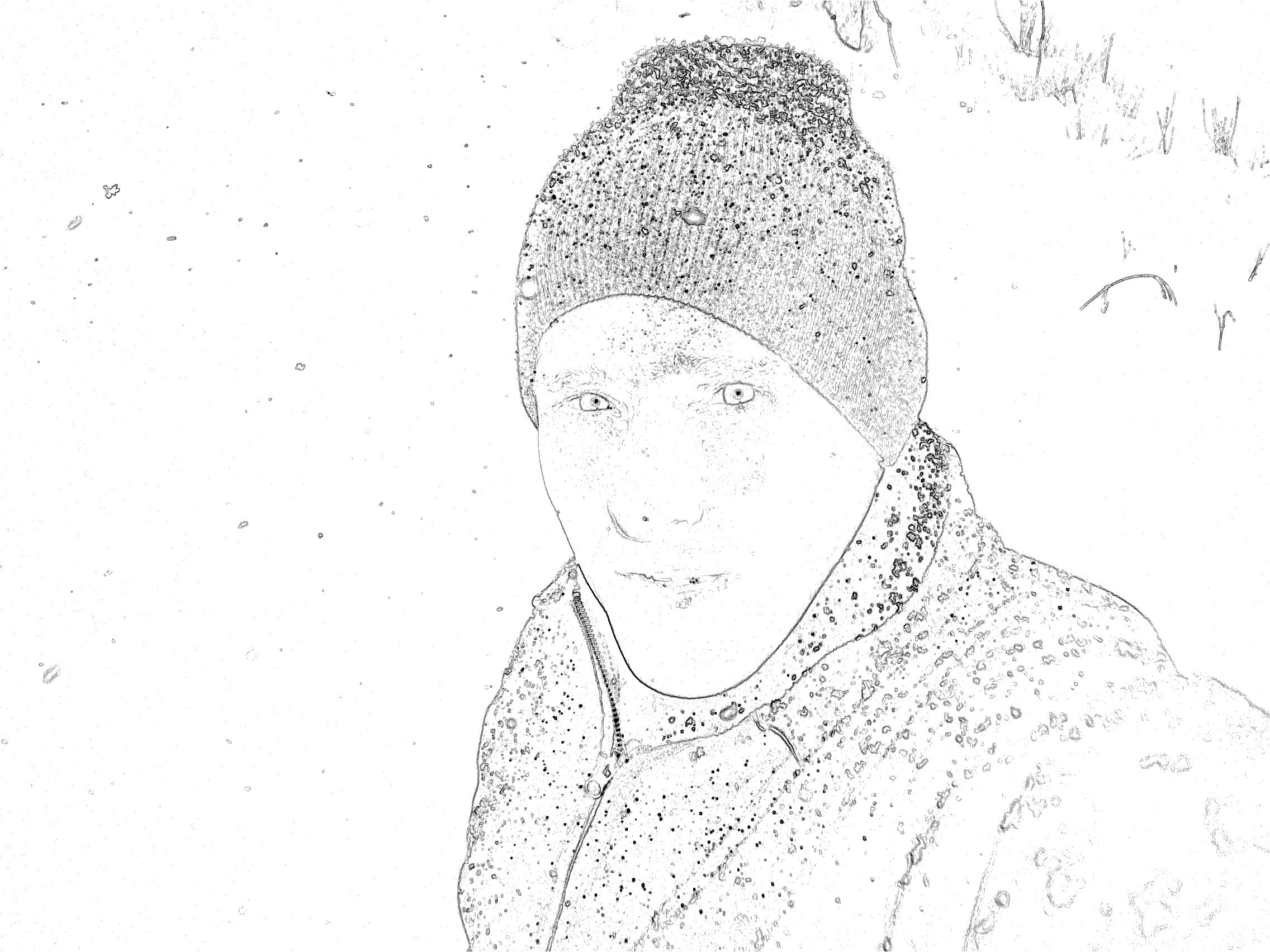 Amazon.com: David W. Weimer: books, biography, latest update