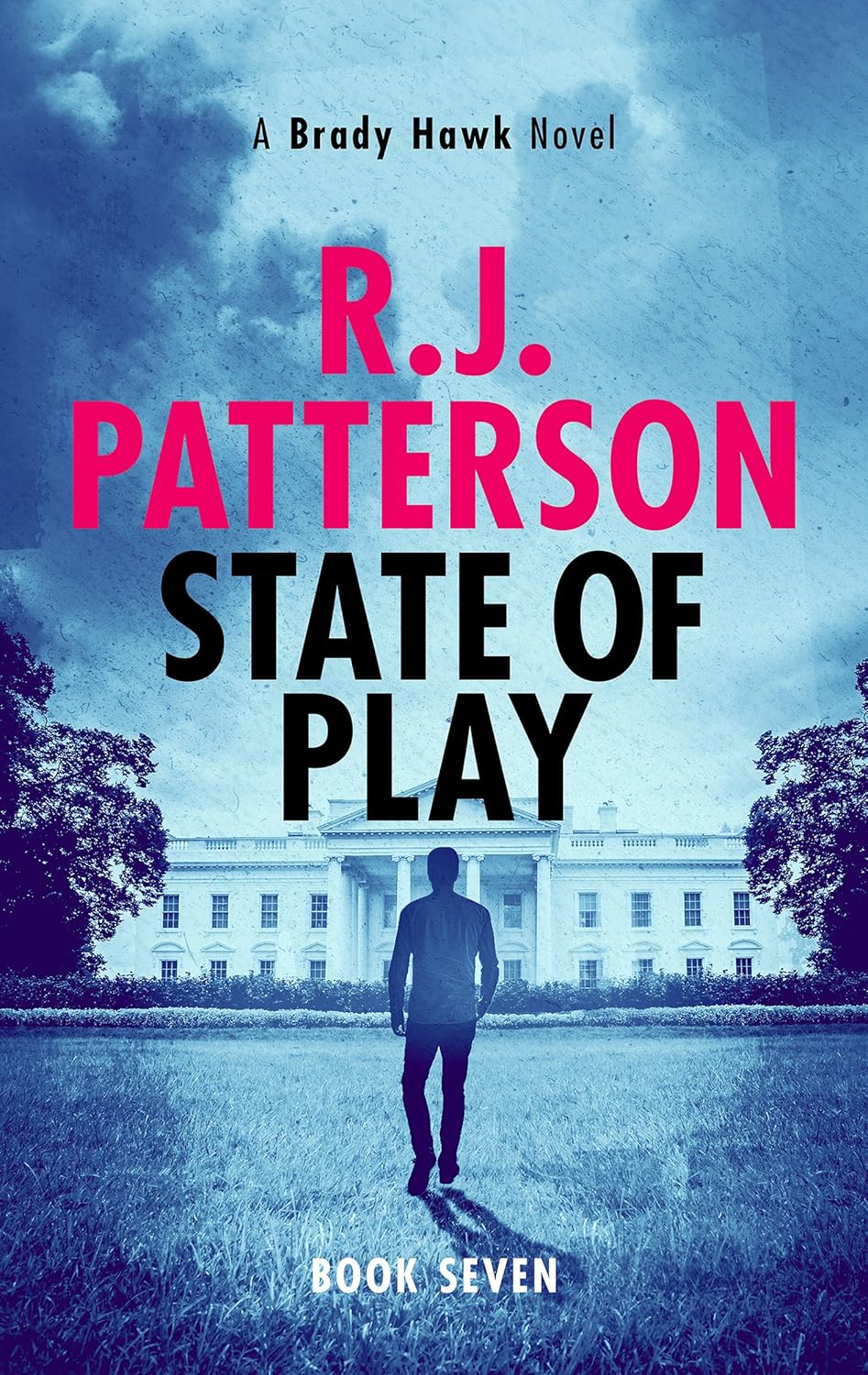 Amazon.com: State of Play (A Brady Hawk Novel Book 7) eBook : Patterson ...
